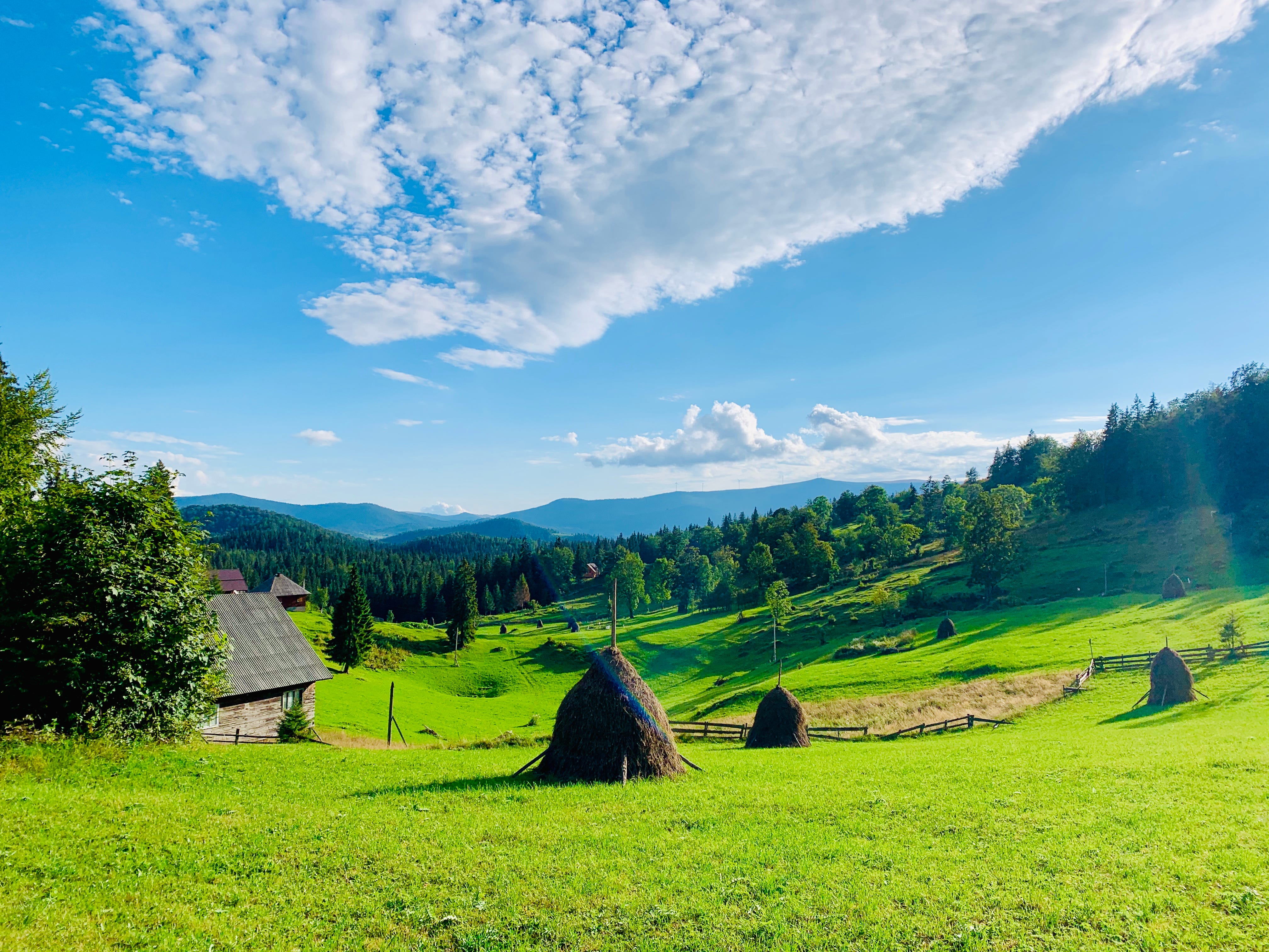Apuseni National Park - Archipelago