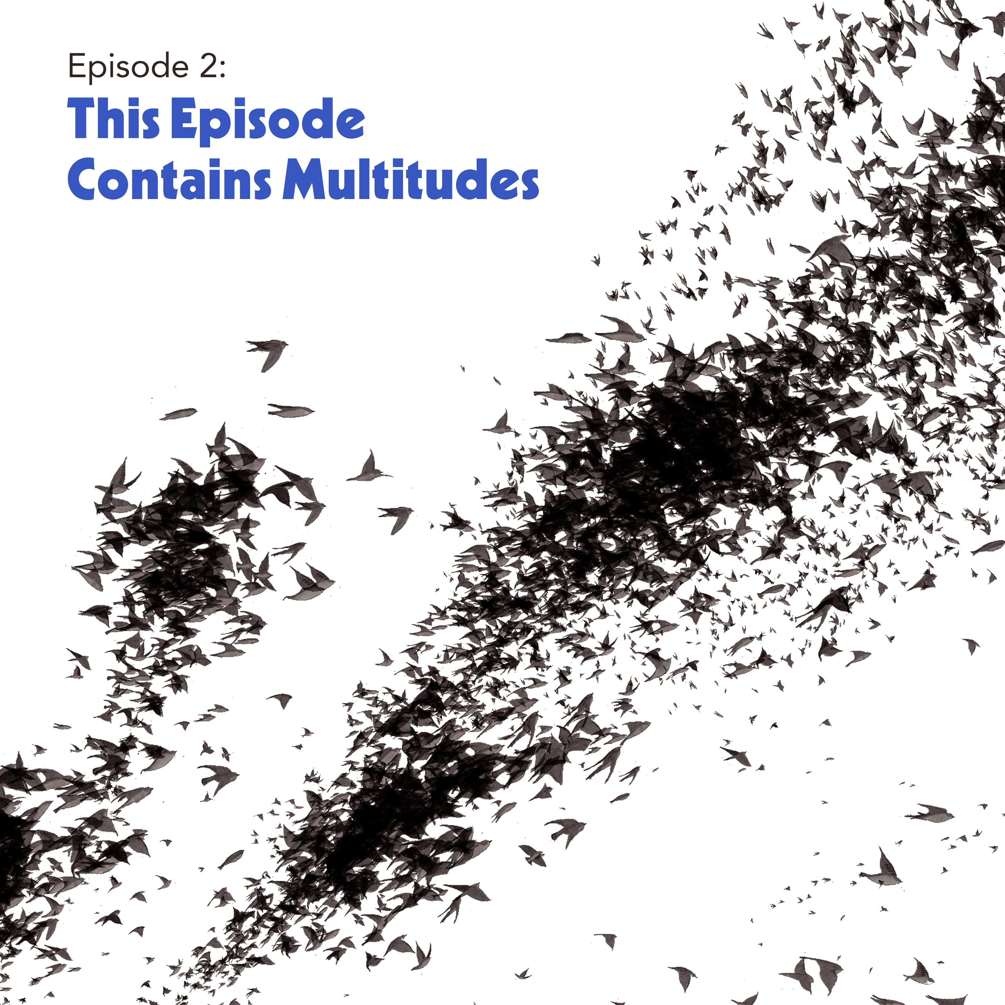 Episode 2: This Episode Contains Multitudes - by Jer Thorp