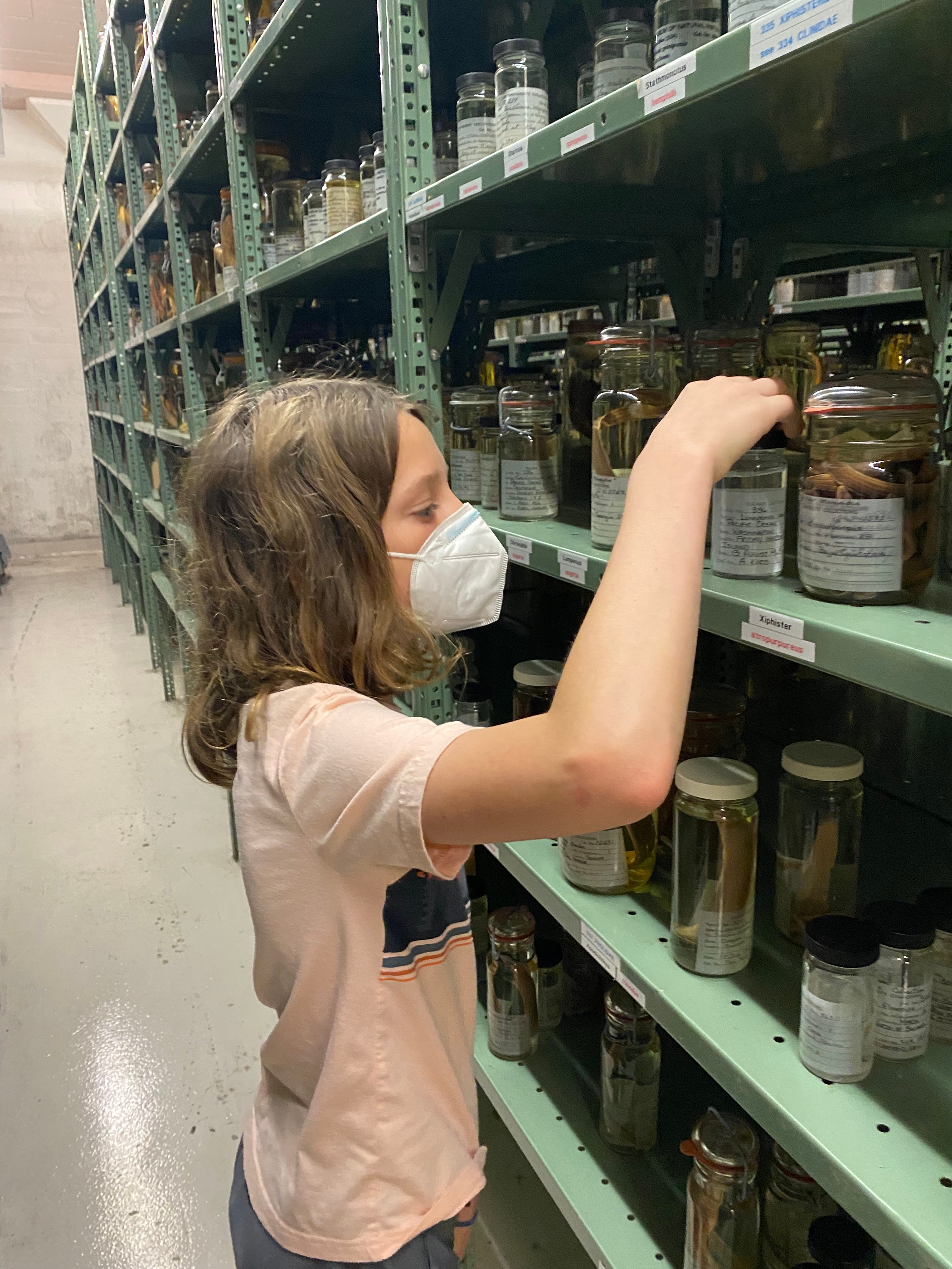 Dead Fish in Jars - by Cassie Seiple - Time Out of Mind