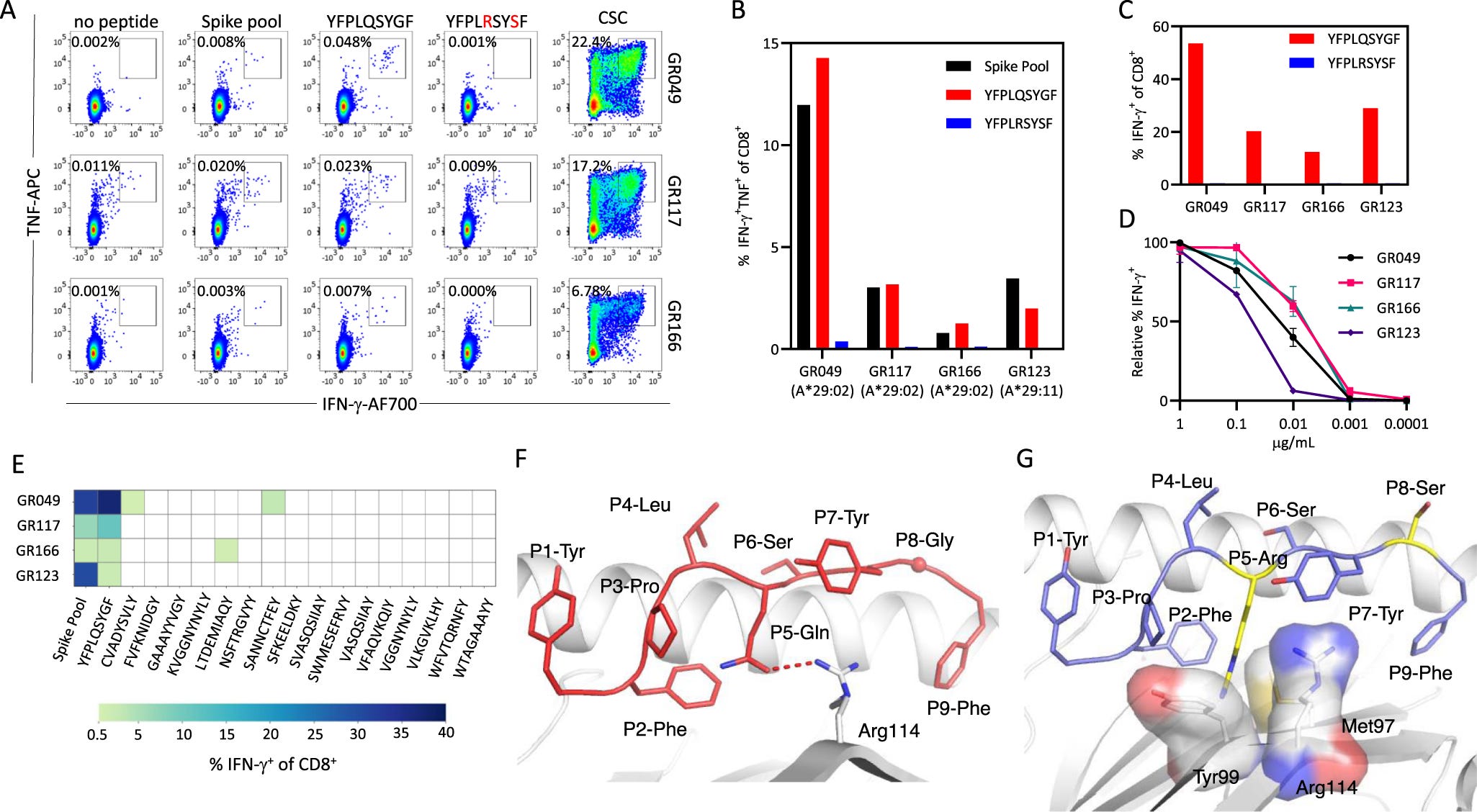 Original Antigenic Sin observed: "Ablation of CD8+ T cell recognition ...