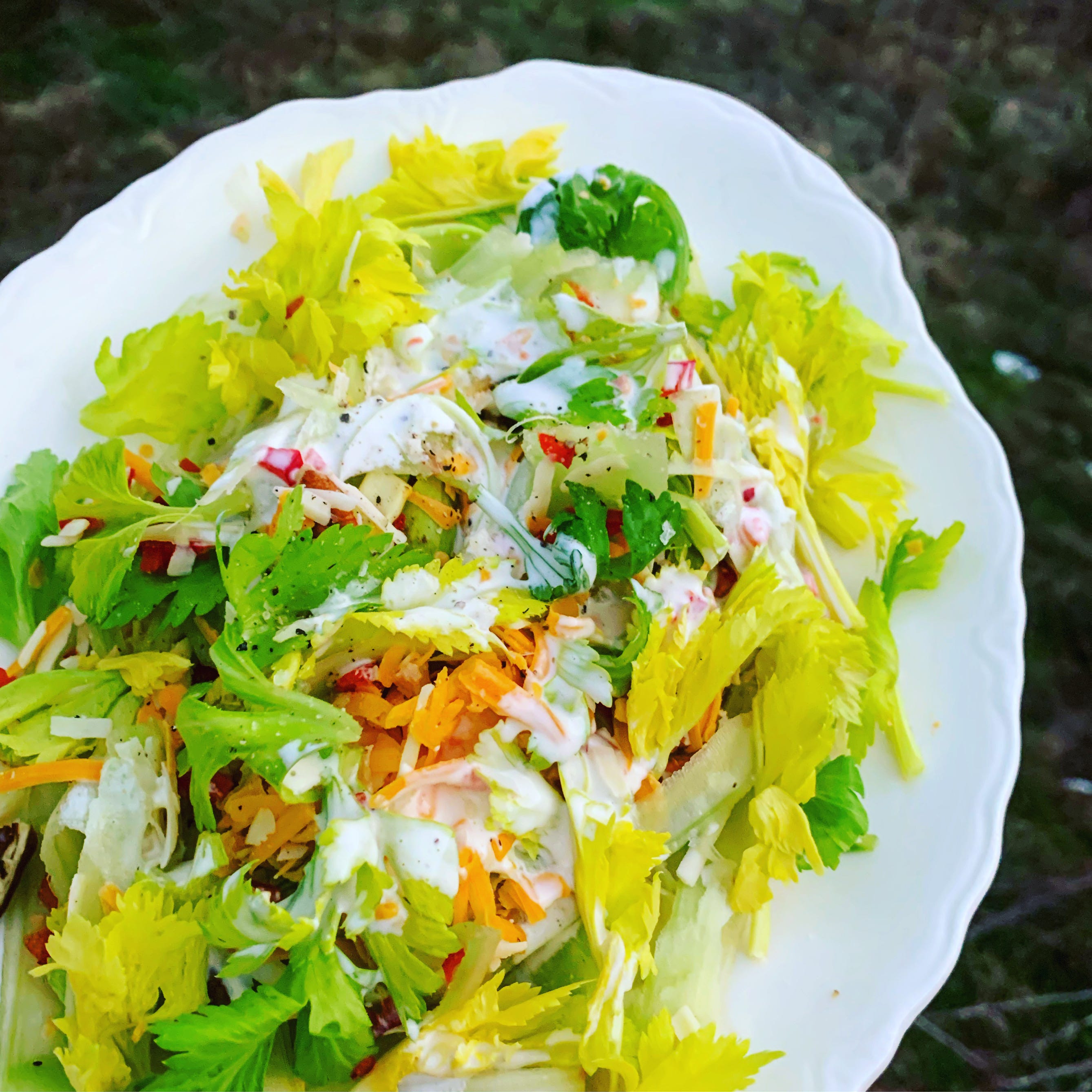 Department of Salad: Official Bulletin #8 - by emily nunn
