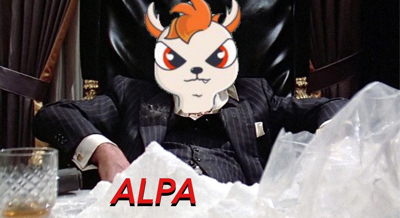 Introducing Alpaca City Guide 📜 - Alpaca City Digest