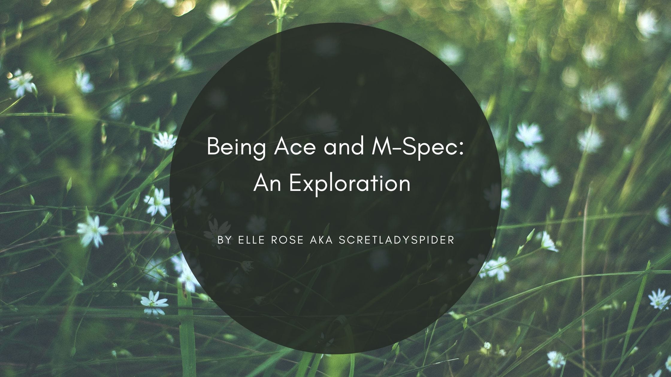 Being Ace and Bi, Pan, Omni, or Poly: An Exploration