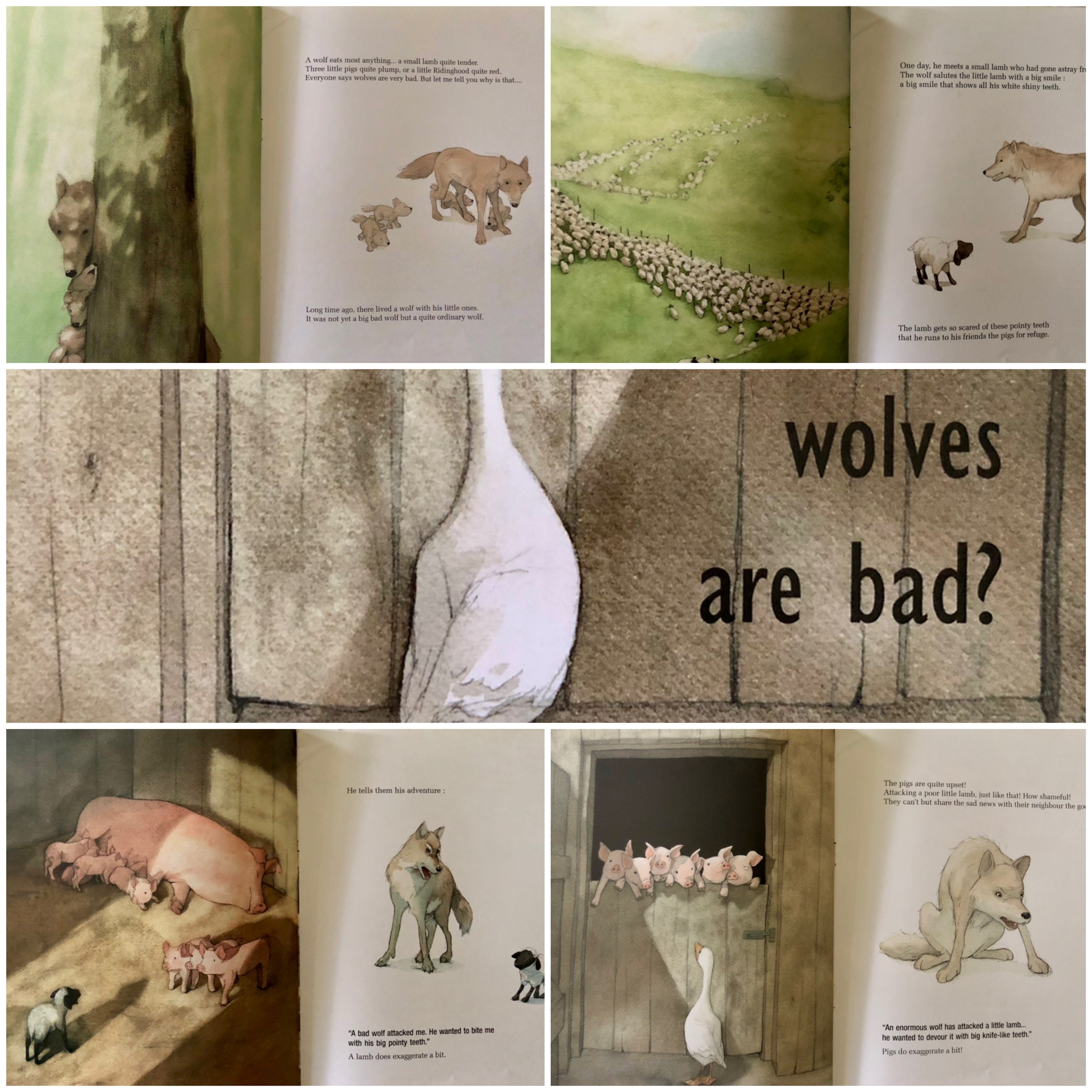 Why do they say wolves are bad? - by Roopa Baliga