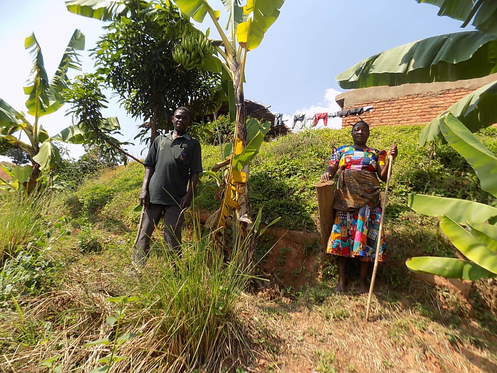 Kulima Better: Sowing Seeds of Hope - by Winston Mwale