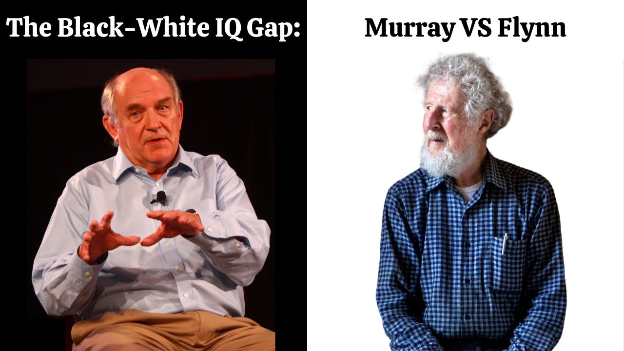 Charles Murray vs James Flynn 2006 debate on the black-white IQ gap