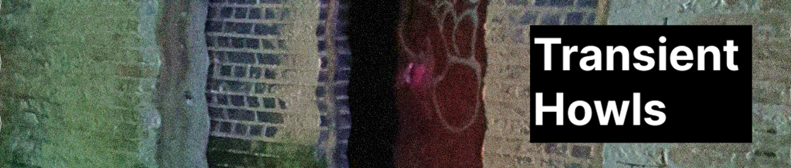 Issue 4 - Benign Lives - by Oli - Sail to the Sun