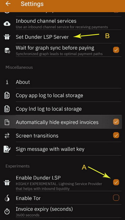 Getting started with Blixt Mobile Node - by DarthCoin ₿⚡️