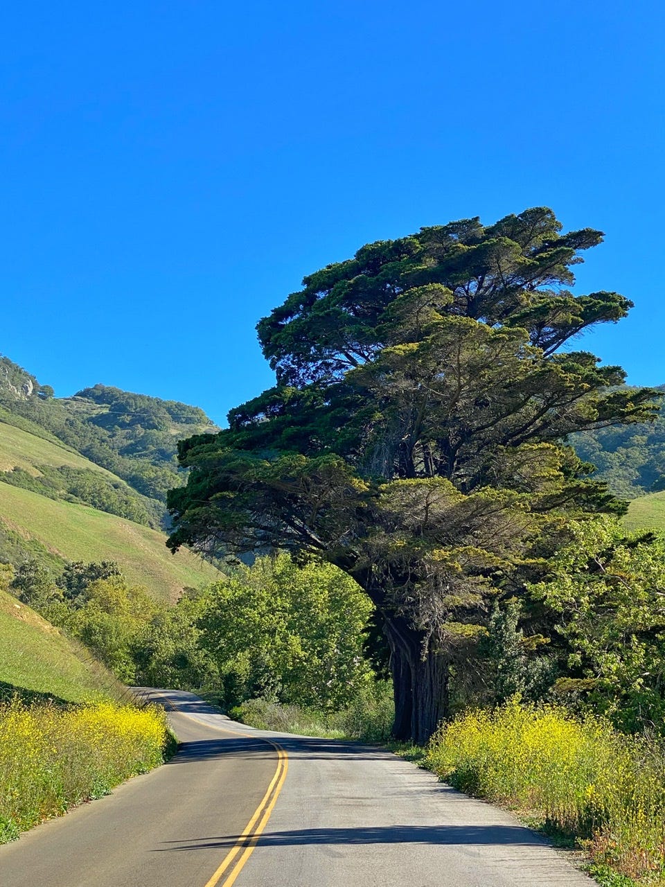 Arriving in Bootjack, California - Tom Ryan, Author
