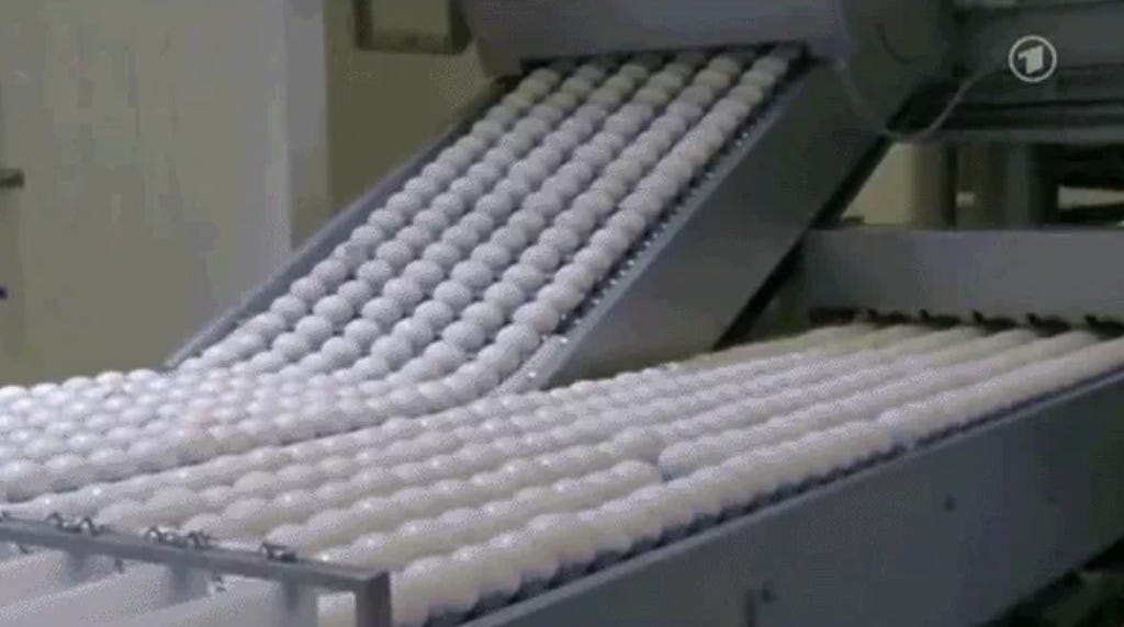 Über Stangeneier, Buchcover und Filterblasen