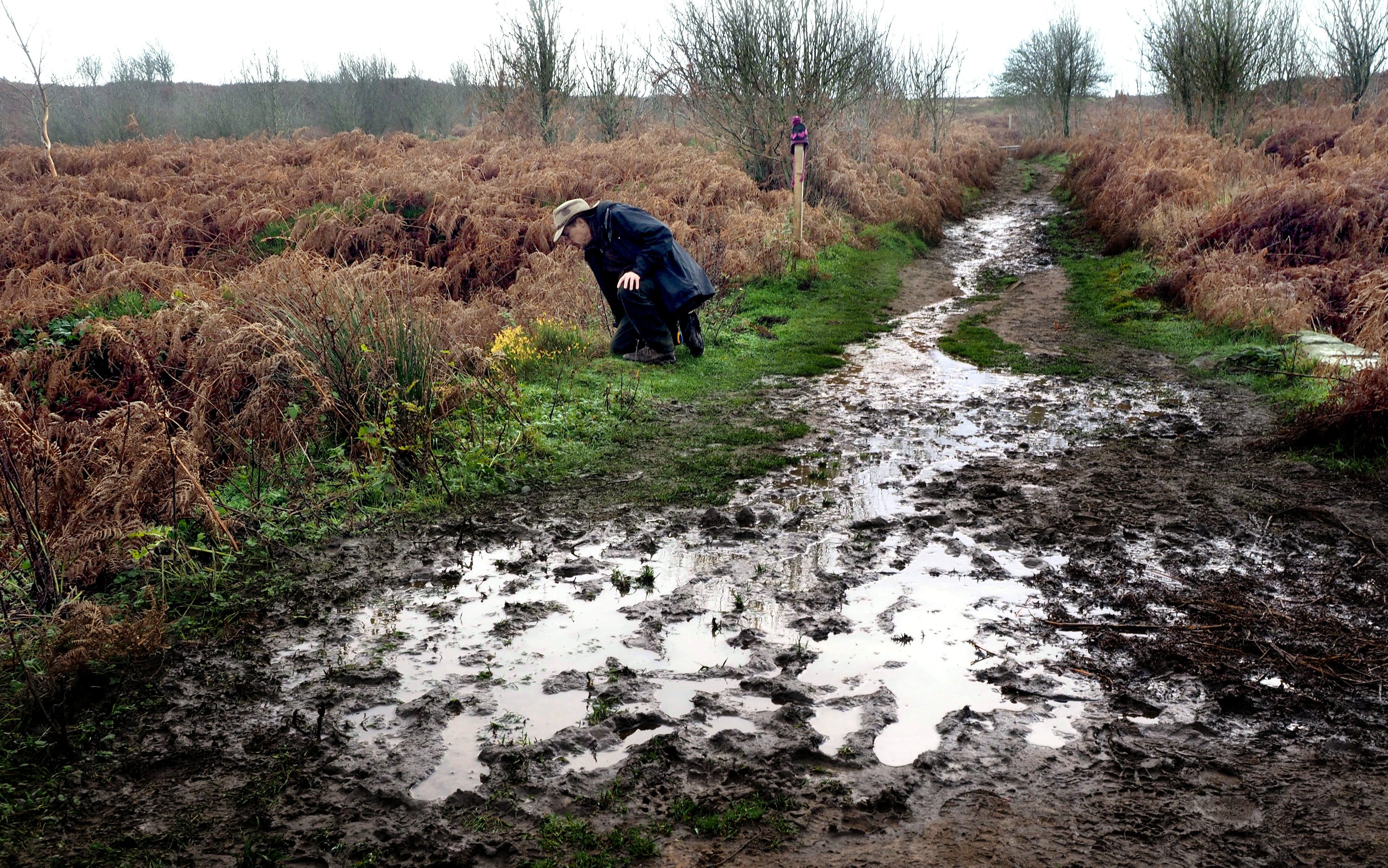 Why Mud's Good - by David Bocking