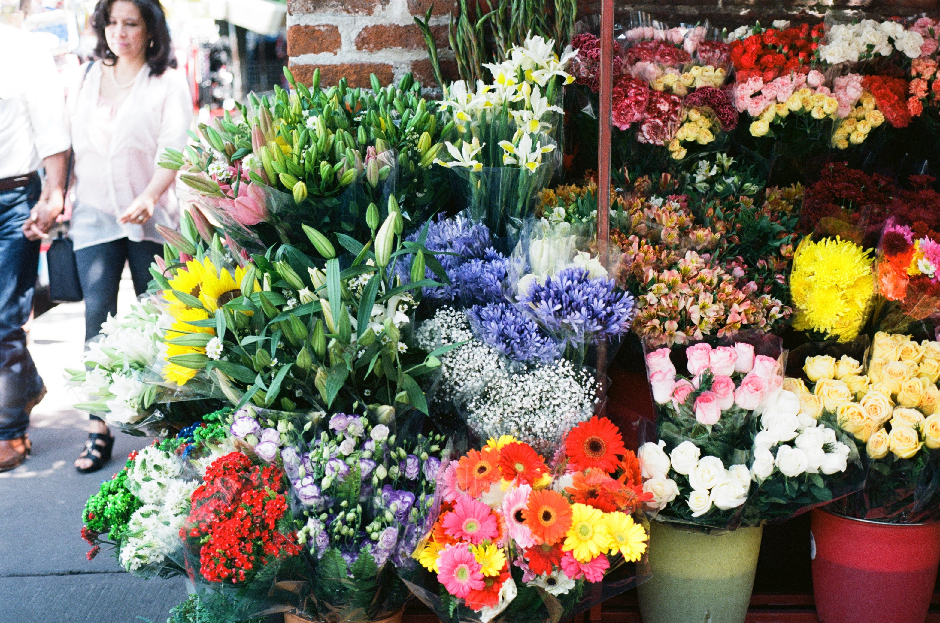 Mexico City in Film - III - by Marko - Snapped