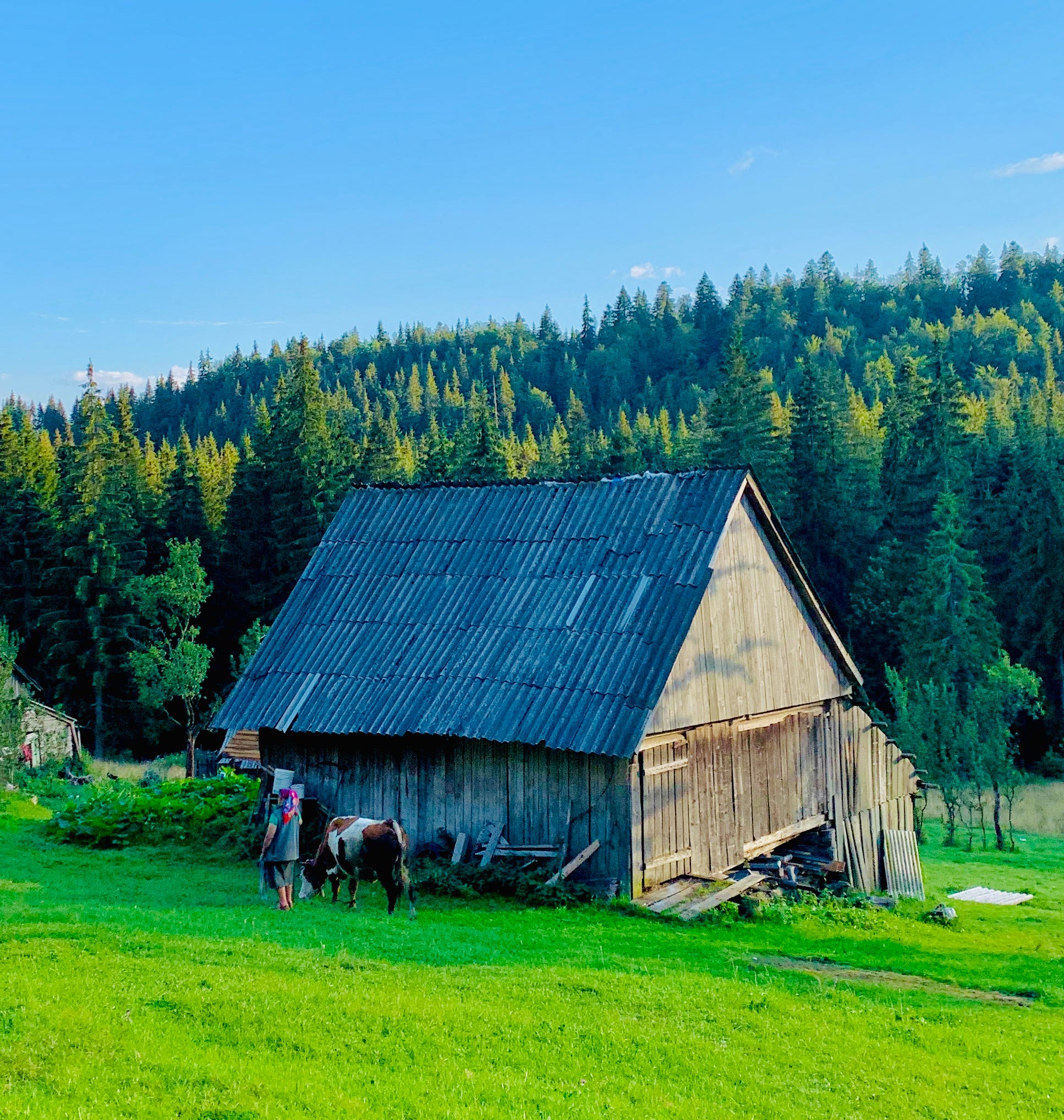 Apuseni National Park - Archipelago