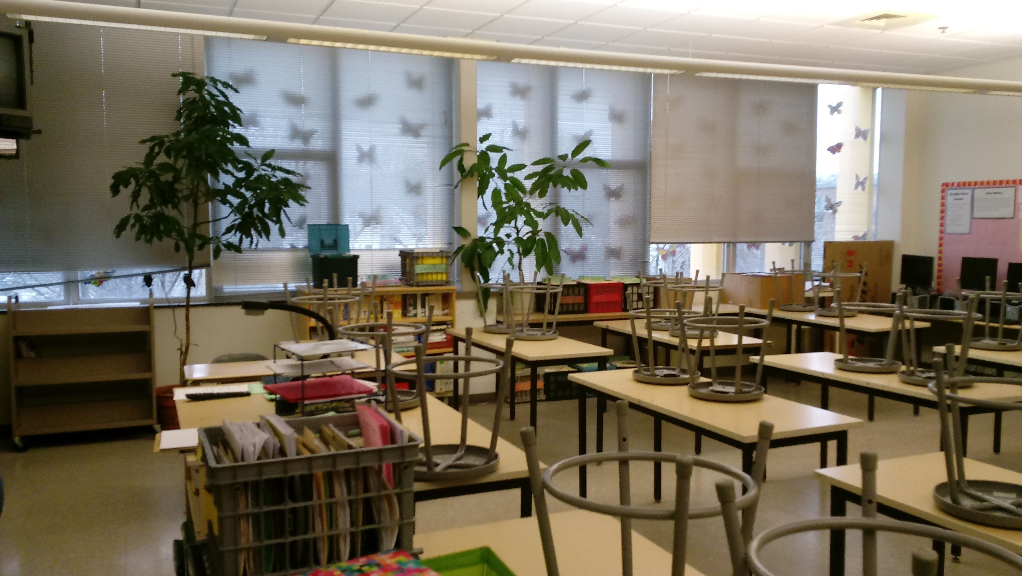 The Elephant in the Classroom: Disrupted Learning… And the Cure ...