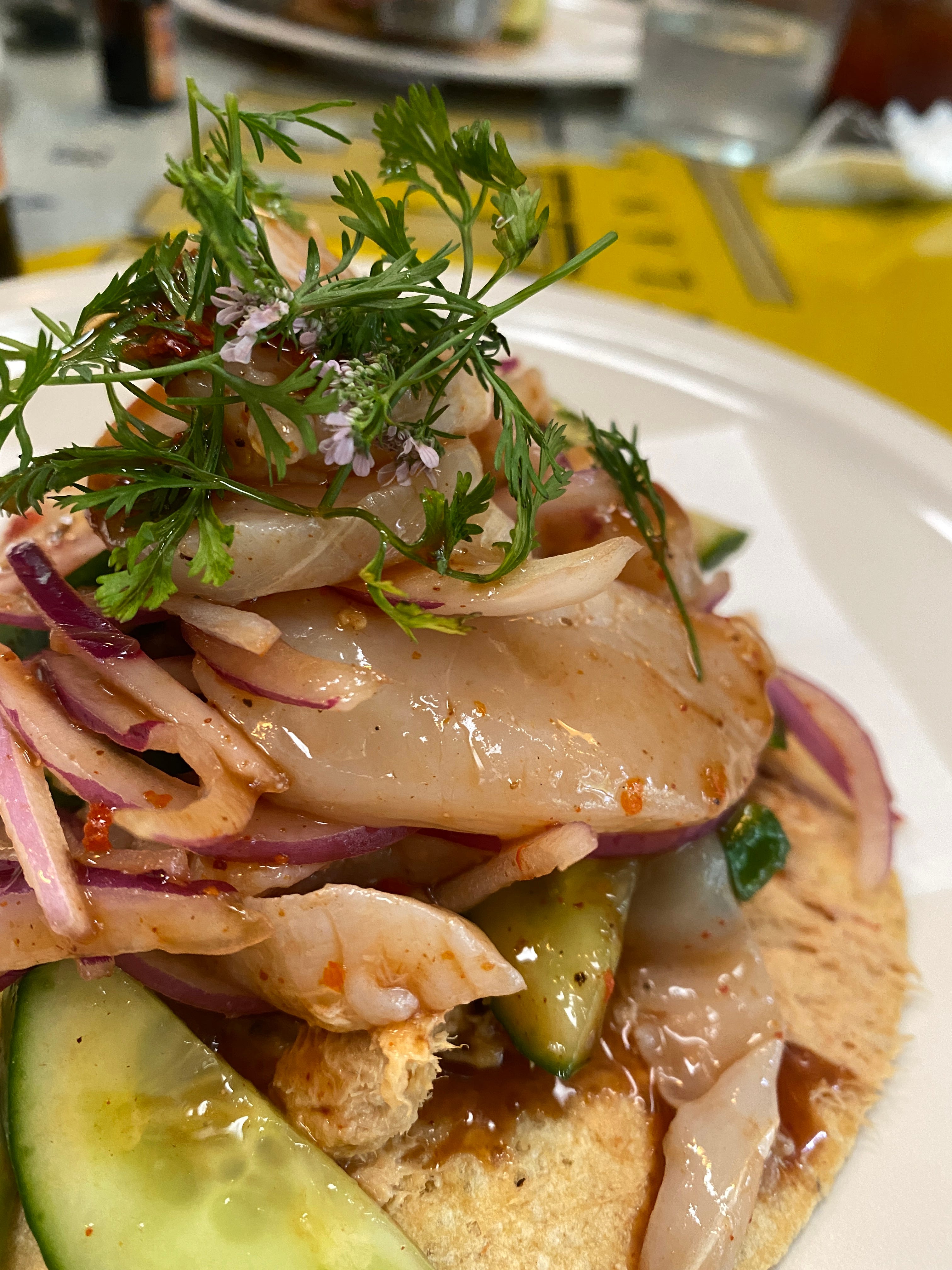 El compa más famoso de la ciudad - by David Yapur