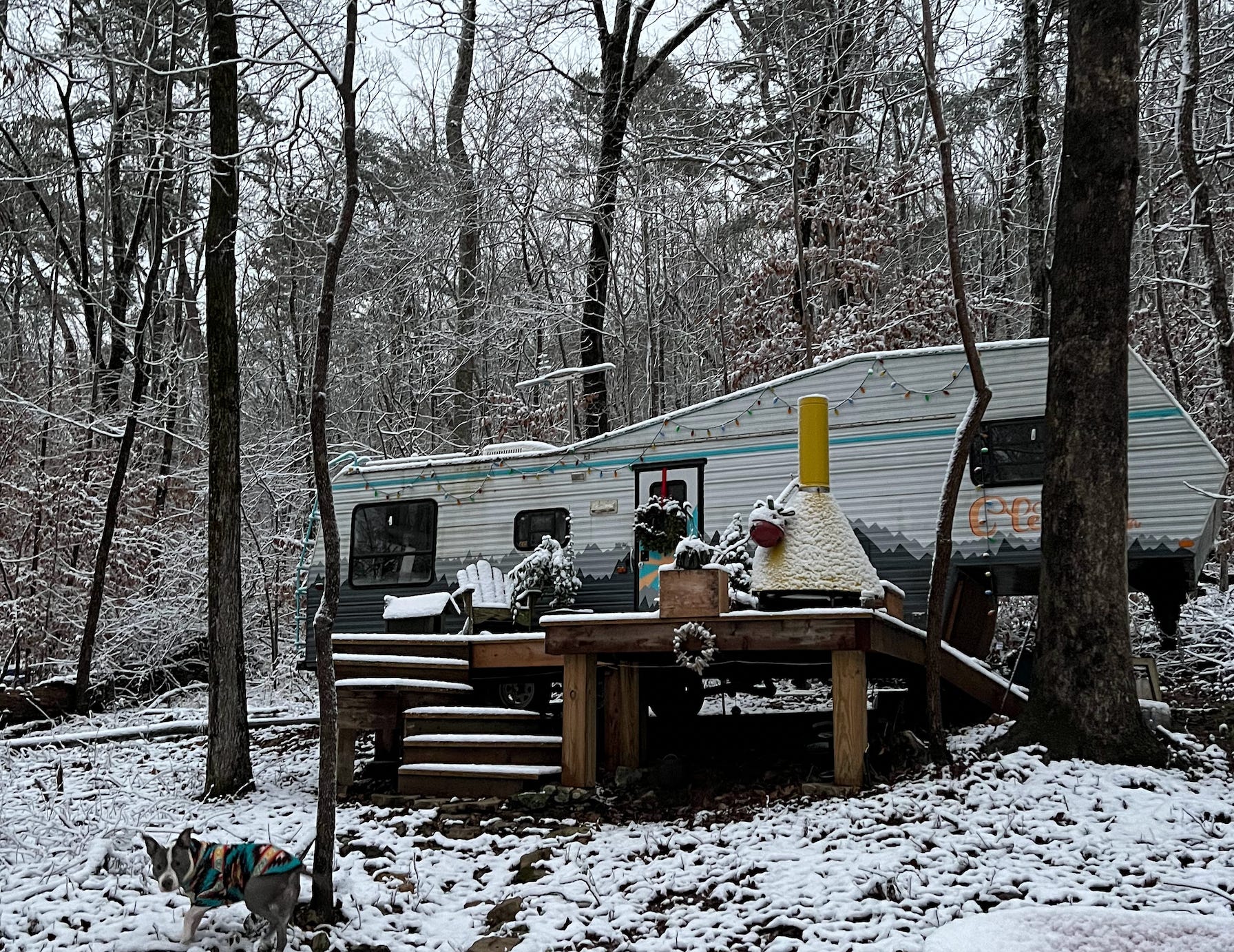 Winter is a Bear - by Tanya Twerdowsky - Beware of Bares