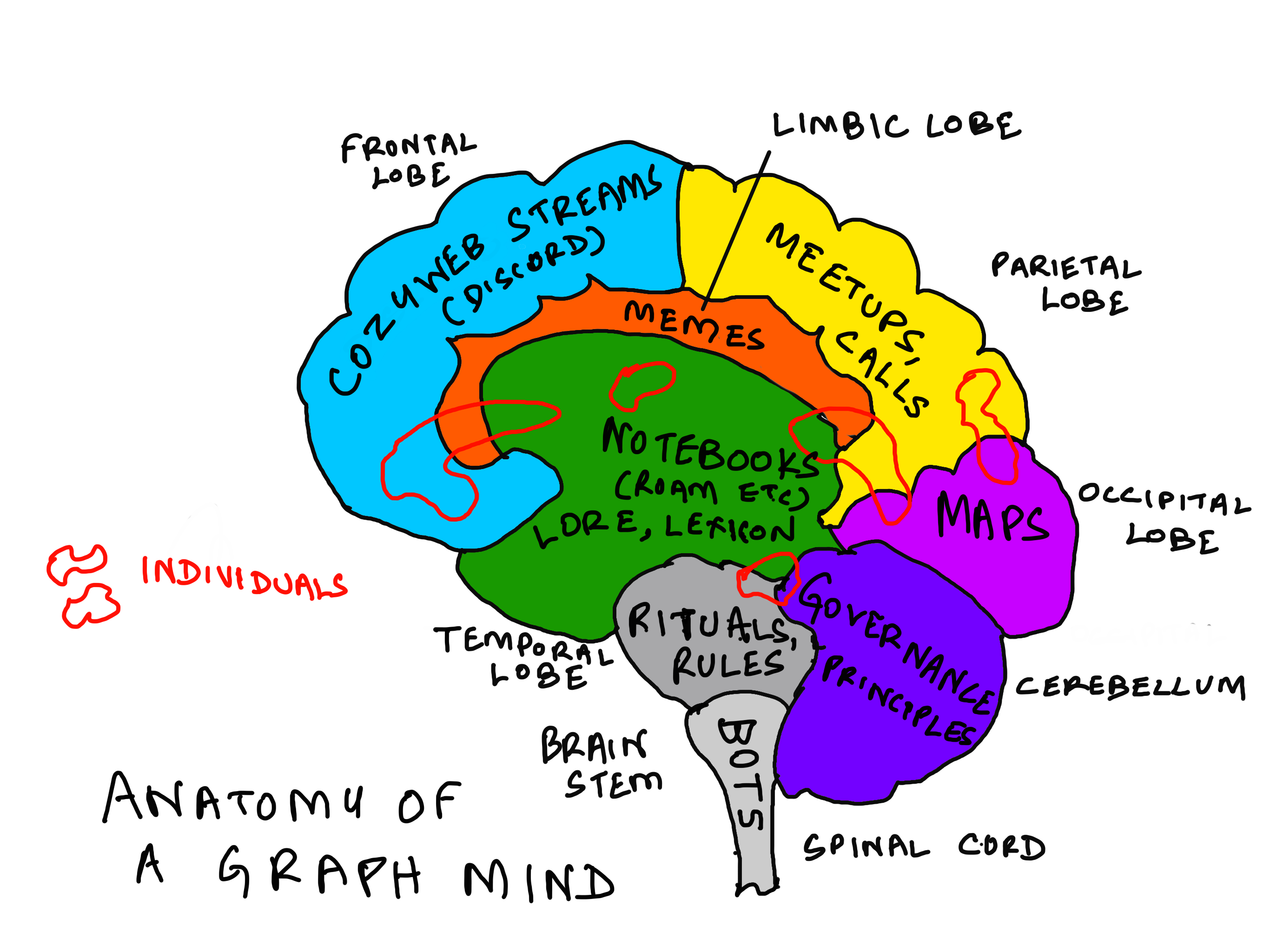 Anatomy of a Graph Mind - by Venkatesh Rao - Contraptions