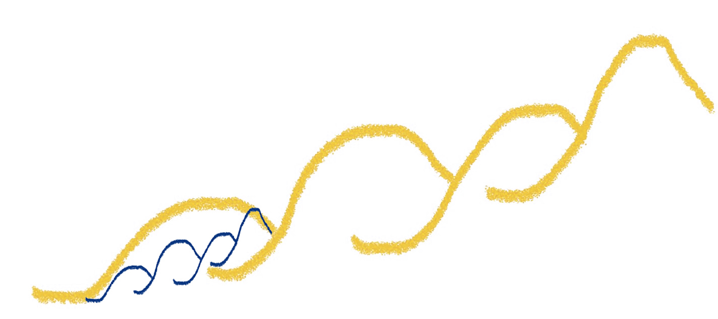 Apple's Masterclass on Resource Allocation