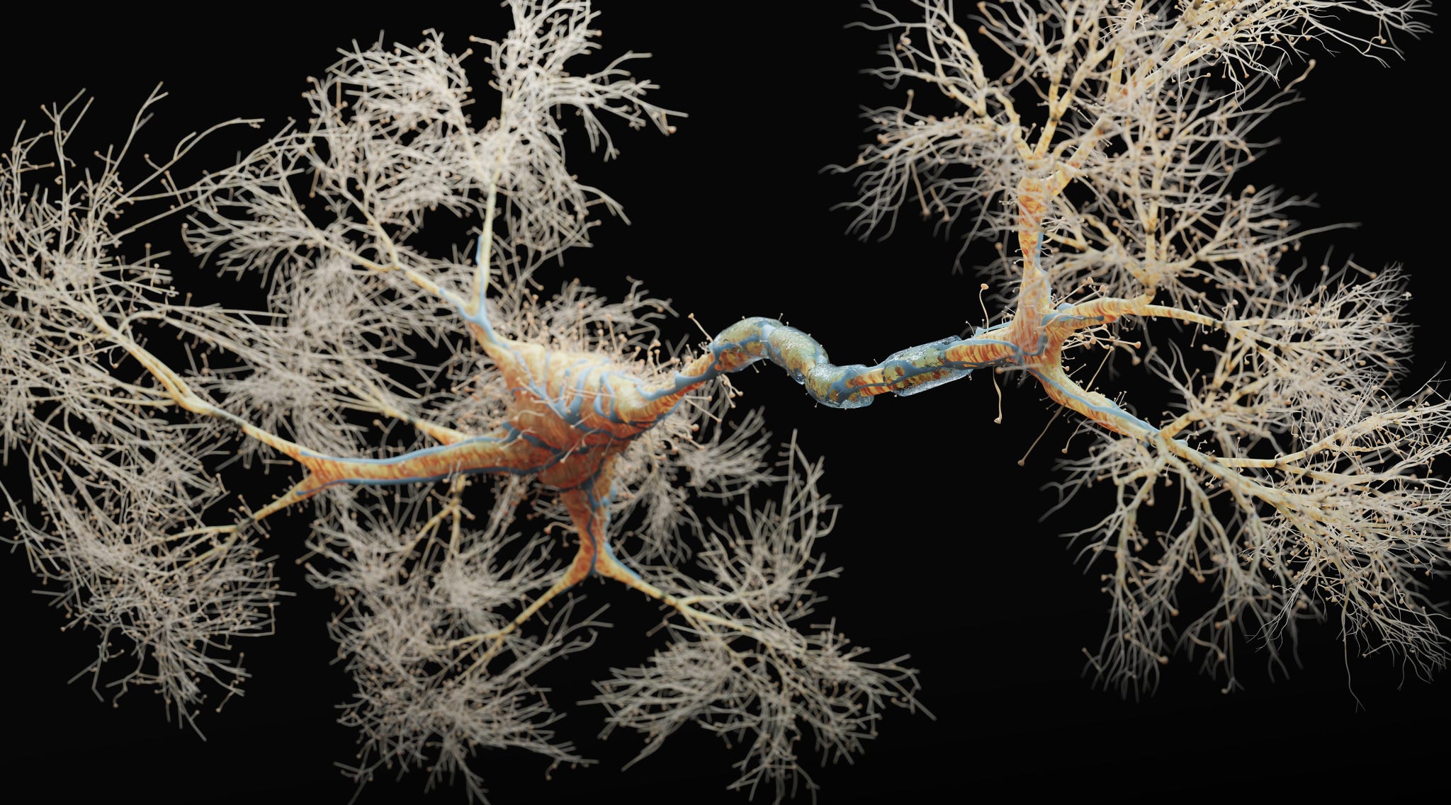 You’re a Neuron - by Tomas Pueyo - Uncharted Territories