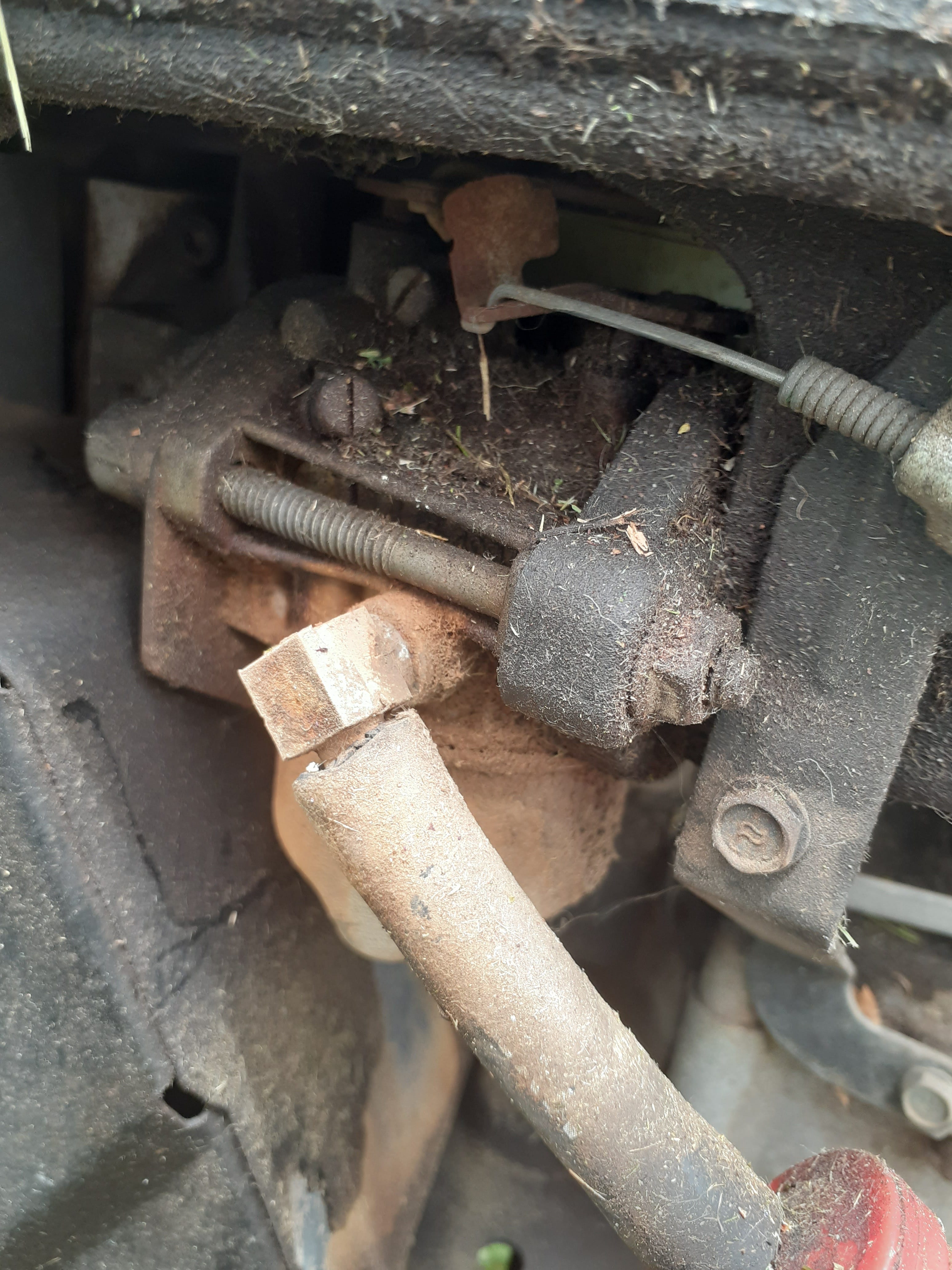 Avoiding the gym and anger management therapist