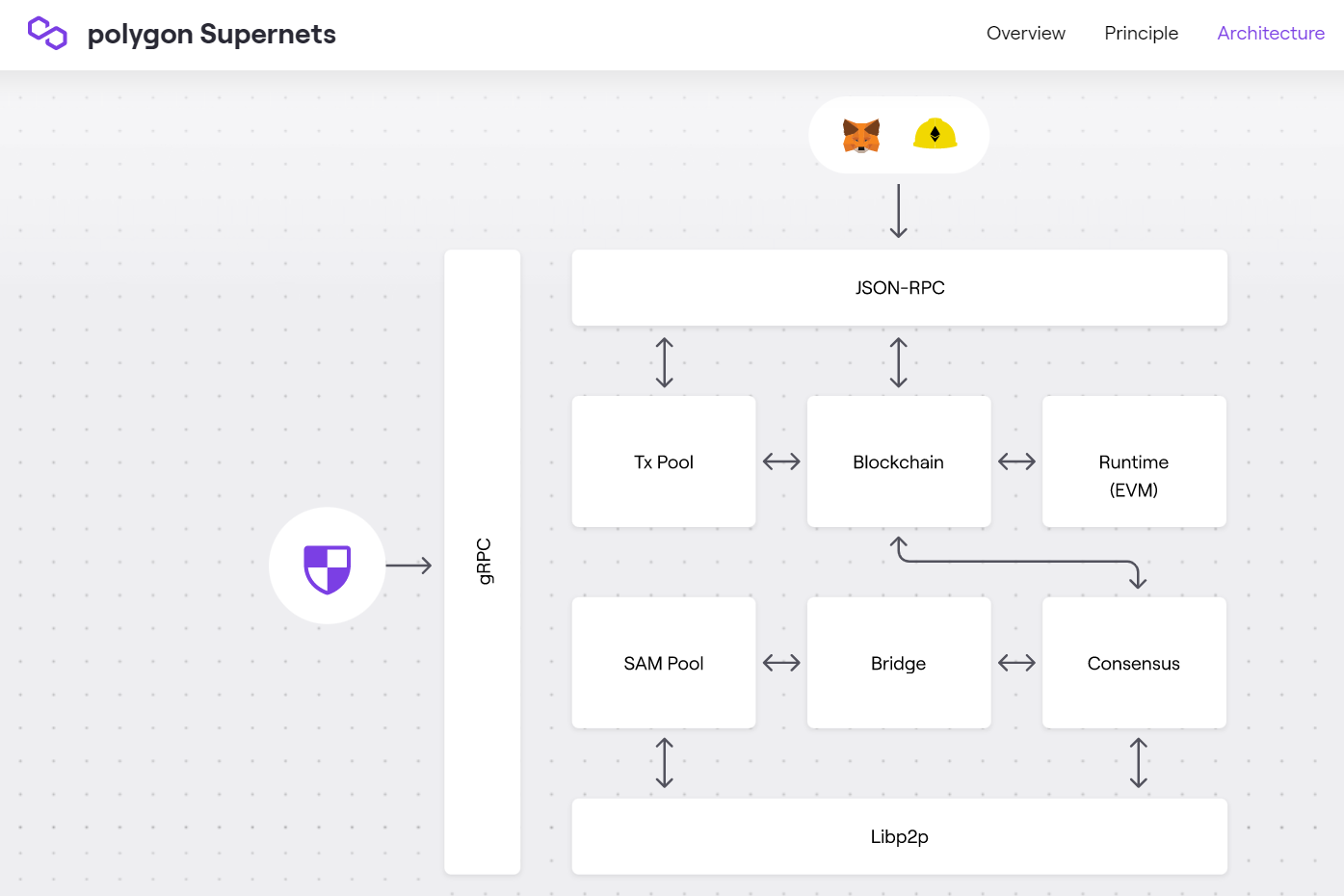 Long Take: Deriving Polygon Supernets and Avalanche Subnets value accrual through the Laws of Nature