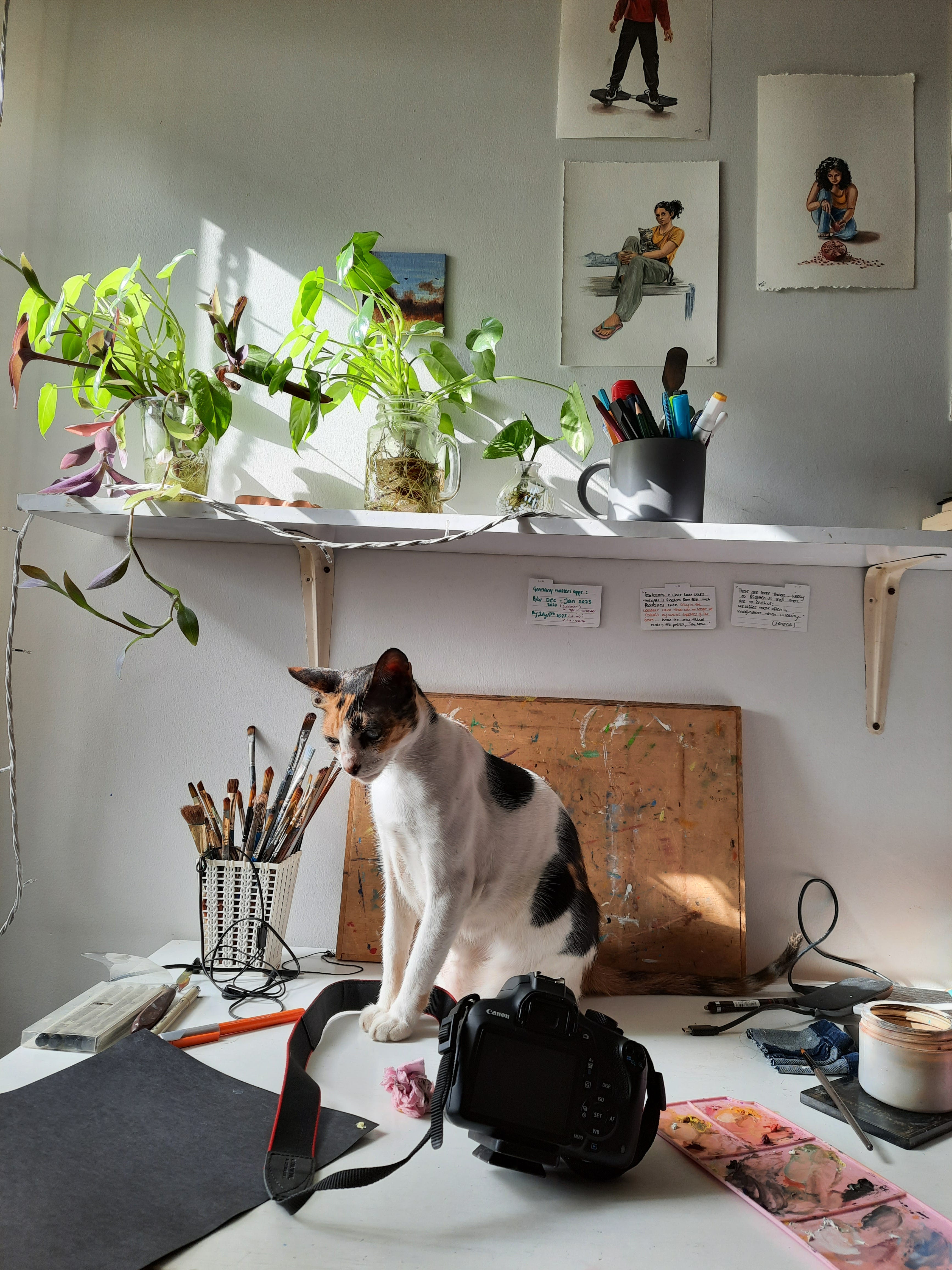 Temporary springtime - by Amina Zoomkawala - zoomkawali