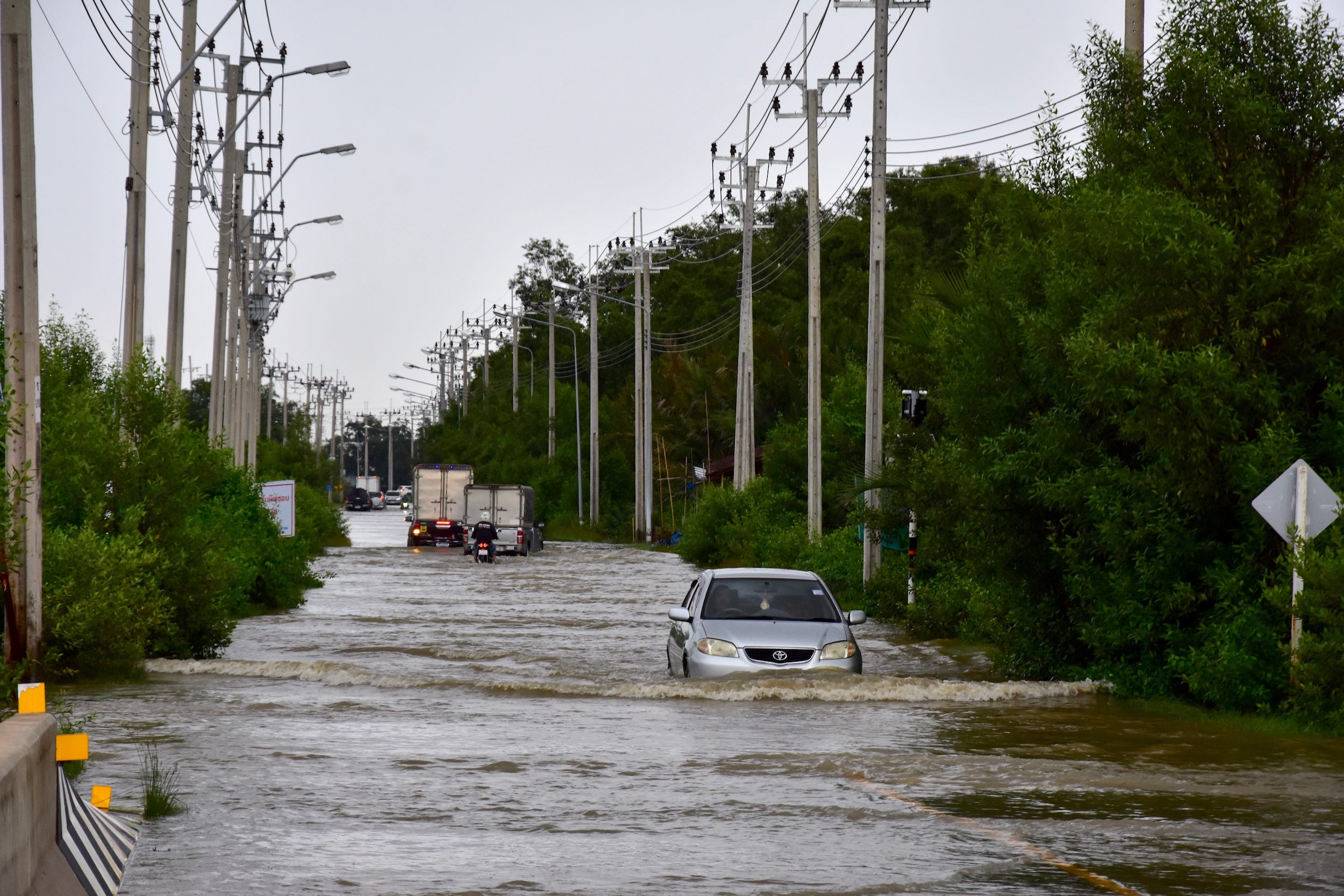 An elephant homecoming, new erosion prevention rules, widespread ...