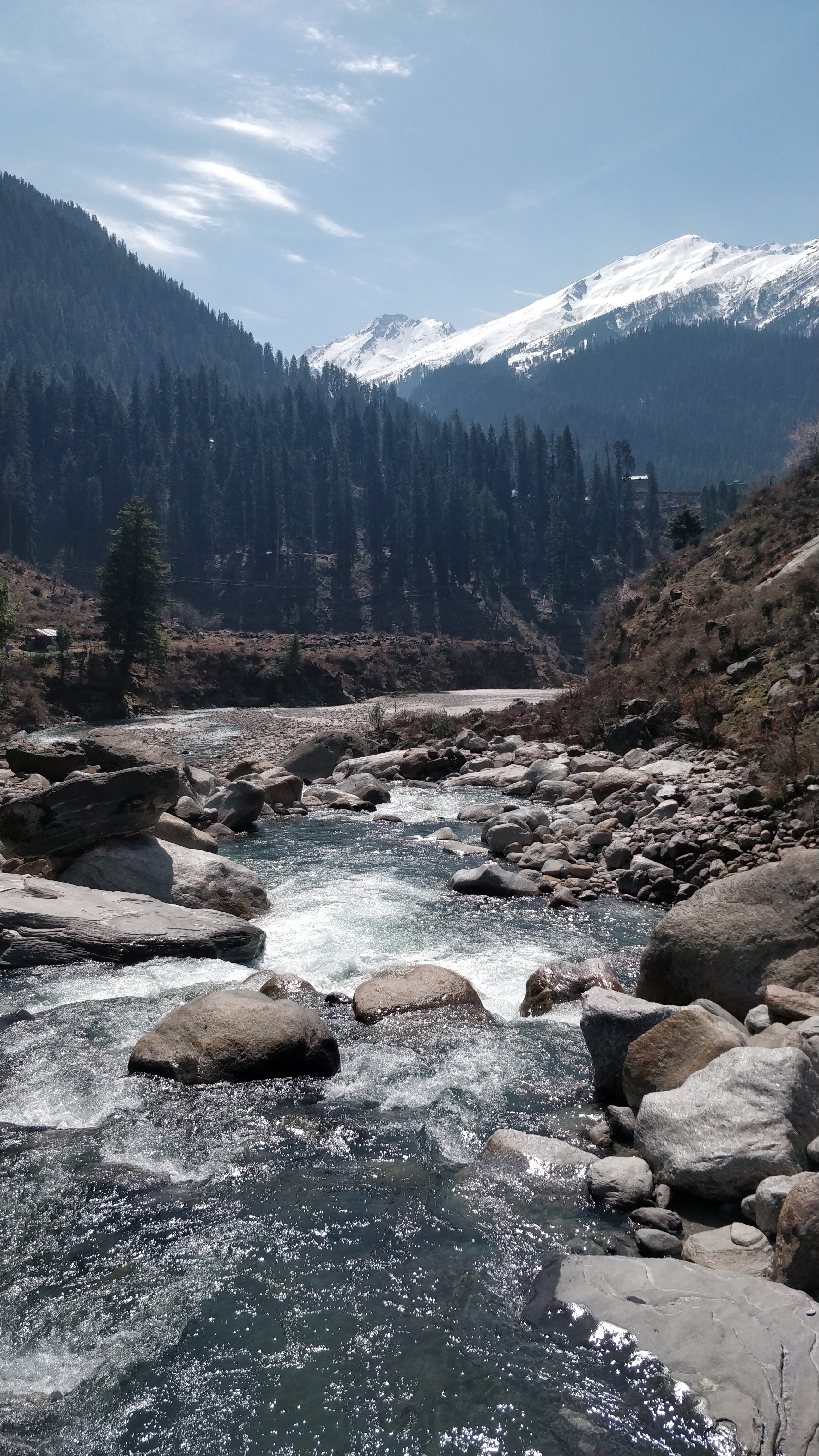 WFM (Work from the mountains) at Tosh and trek to Kheerganga - Detailed ...