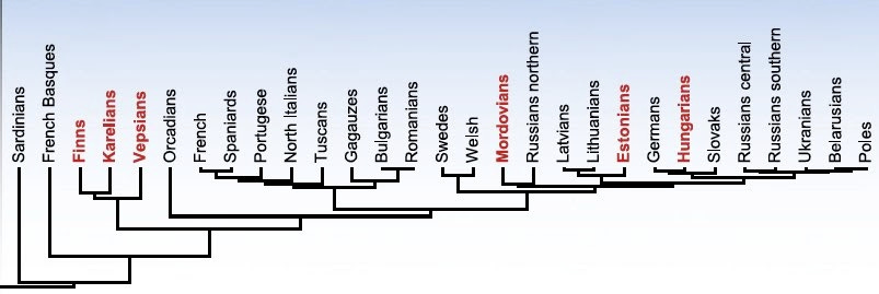 Hungarians as the ghost of the Magyar confederacy