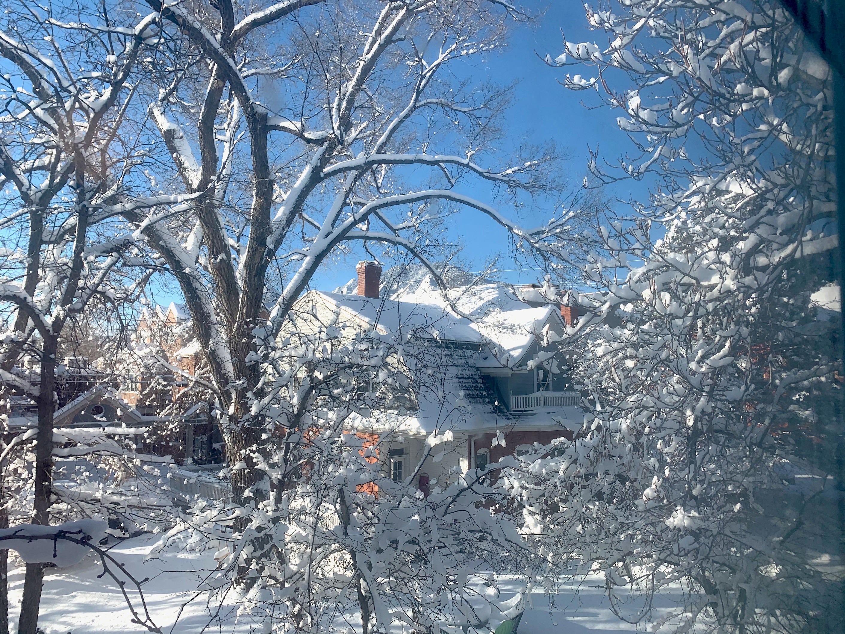 Every day is a very cold snow day - by Edy Guy - Intertext
