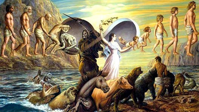 Issue #11: The body changes but YOU don't.