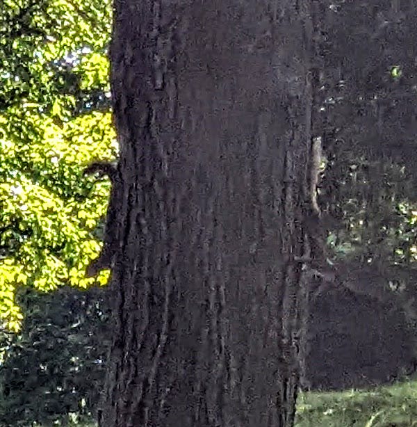 gate(less) | Con/Jur/d | Substack