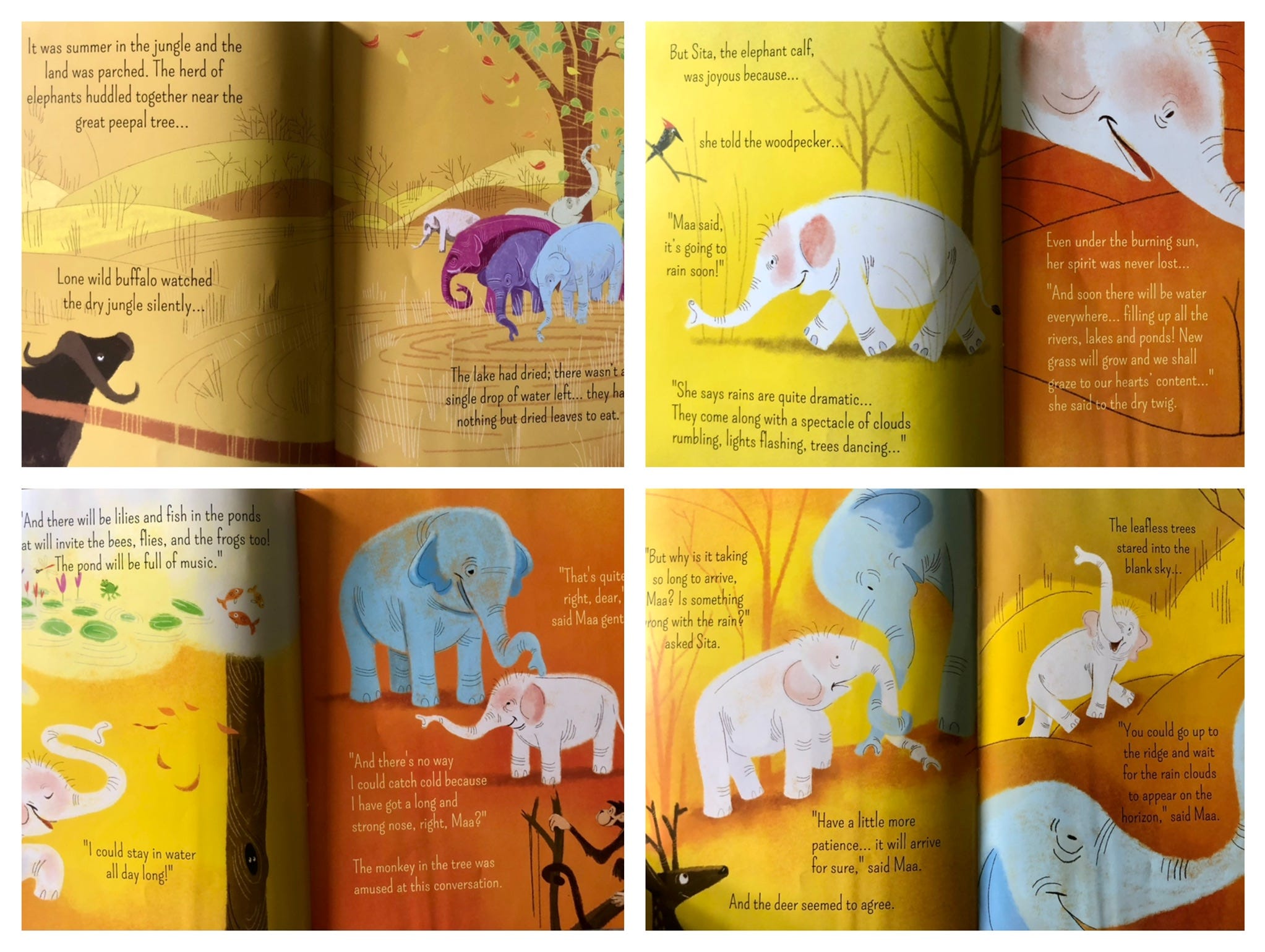 The First Rain - by Roopa Baliga - House Full of Books