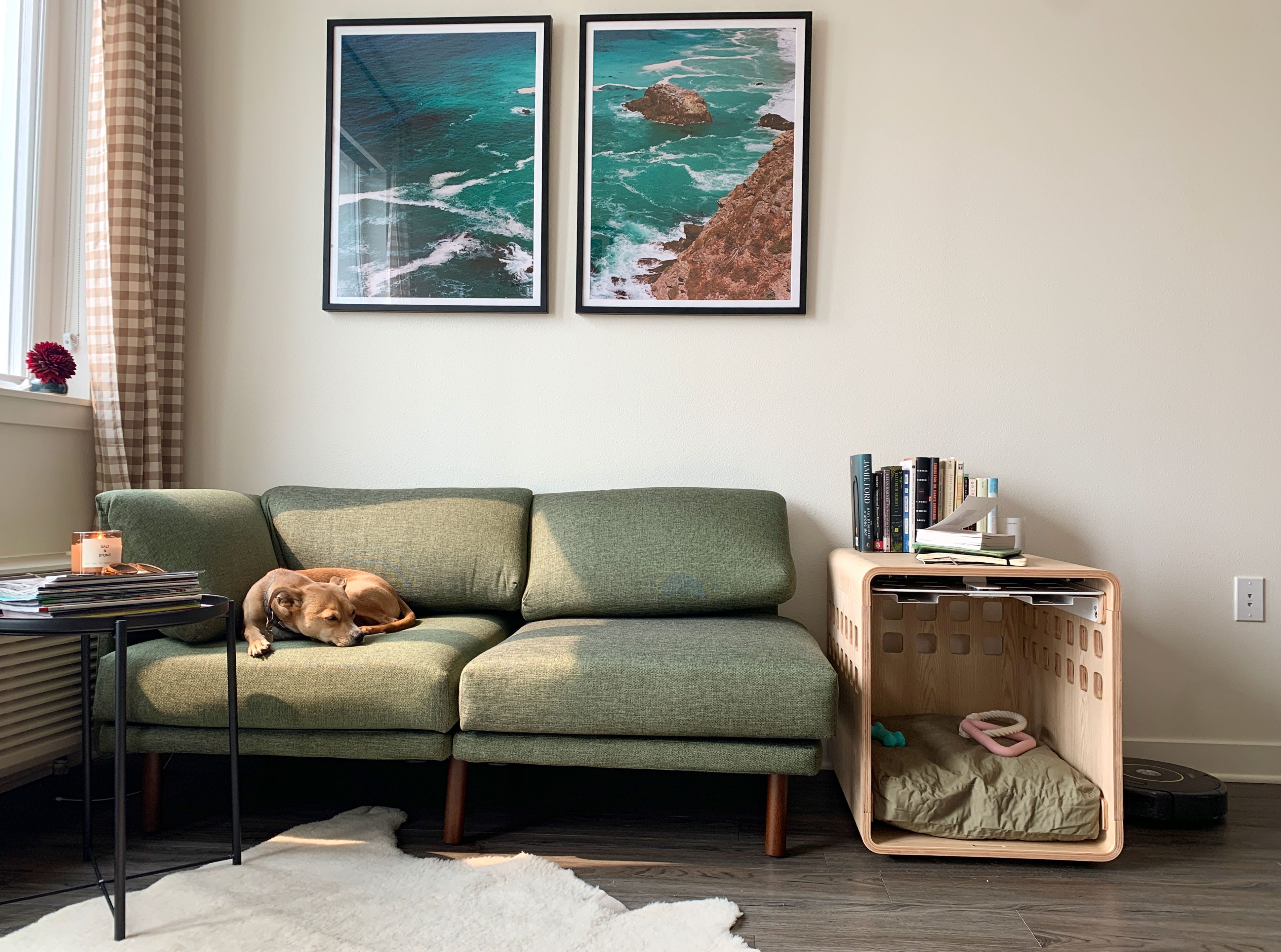 Issue #55: A Tour of My First Solo Apartment
