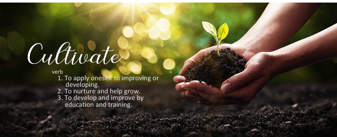 Cultivating Good Habits - by Shane Tucker