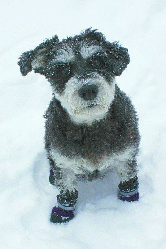 Tom Ryan, Author | Substack