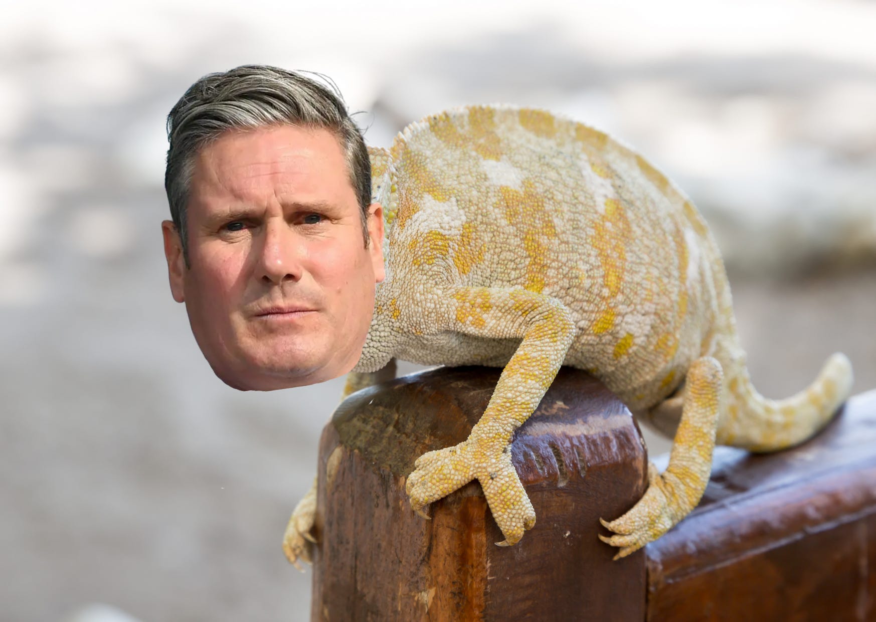 Saturday Night, Sunday Warning #6: Starmer, Starmer, Starmer Chameleon...