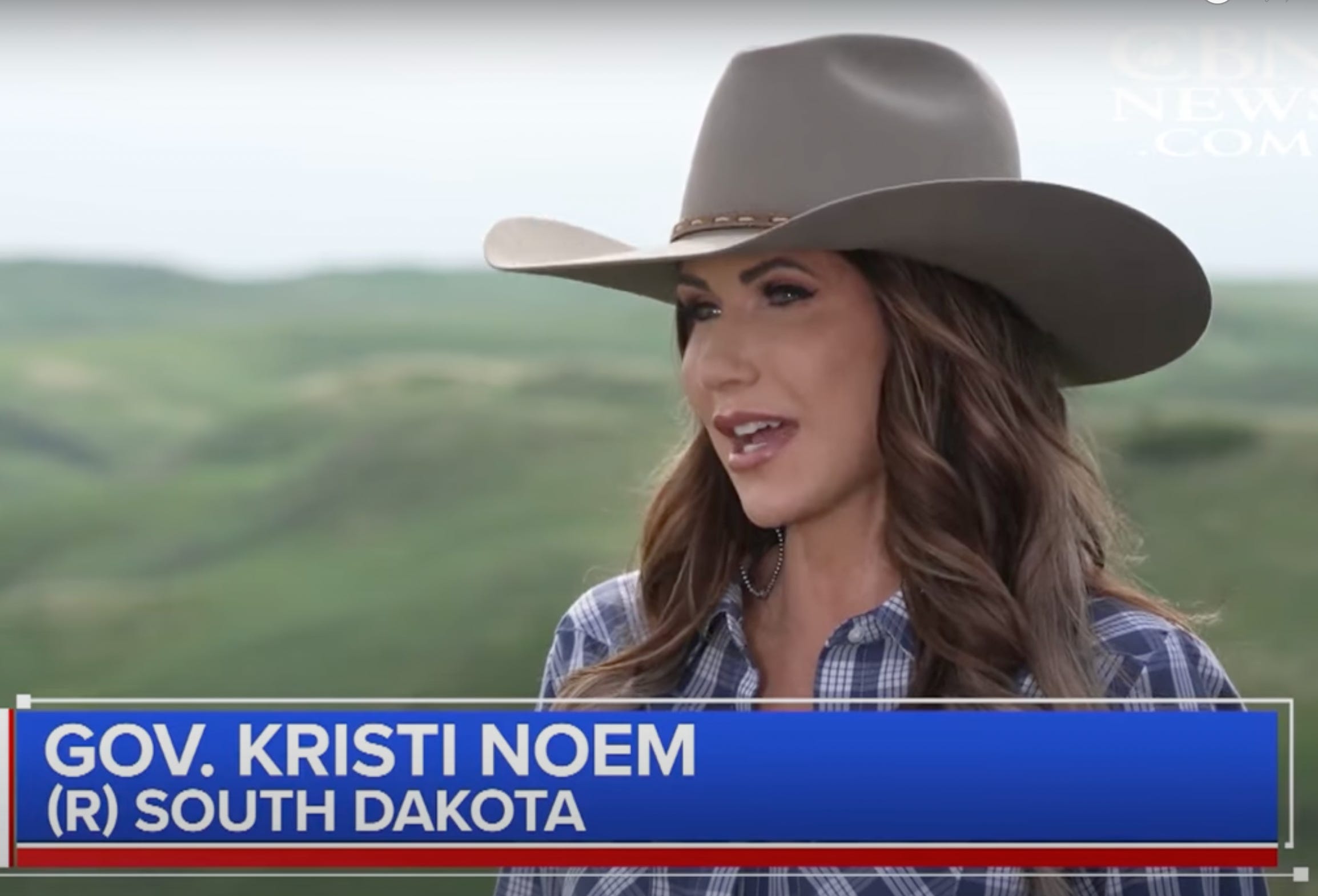 Pander! At The Rodeo - by Garrett Bucks - The White Pages