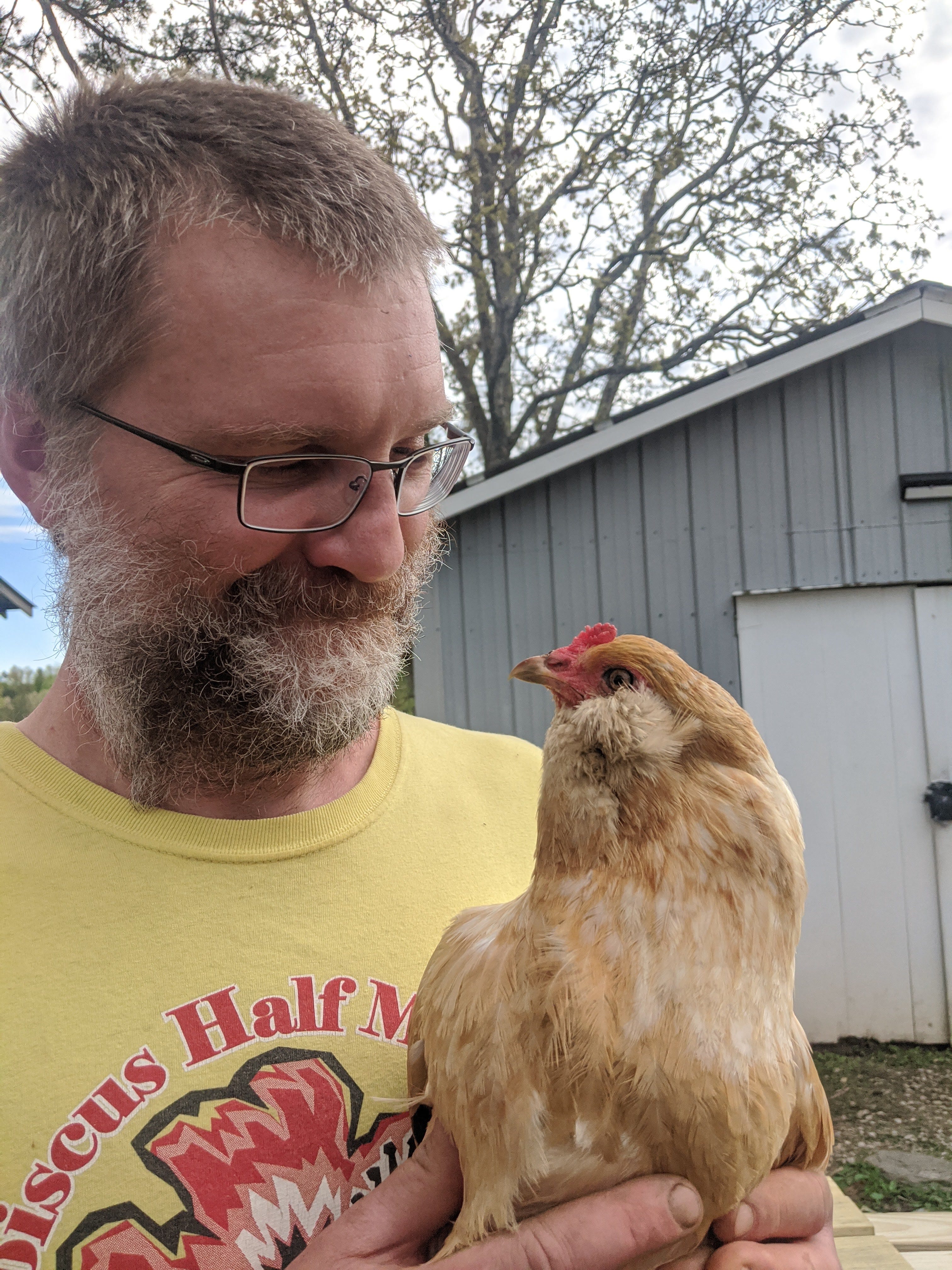 Be Your Own Rare Bird - by AC Shilton - AffirmationChickens