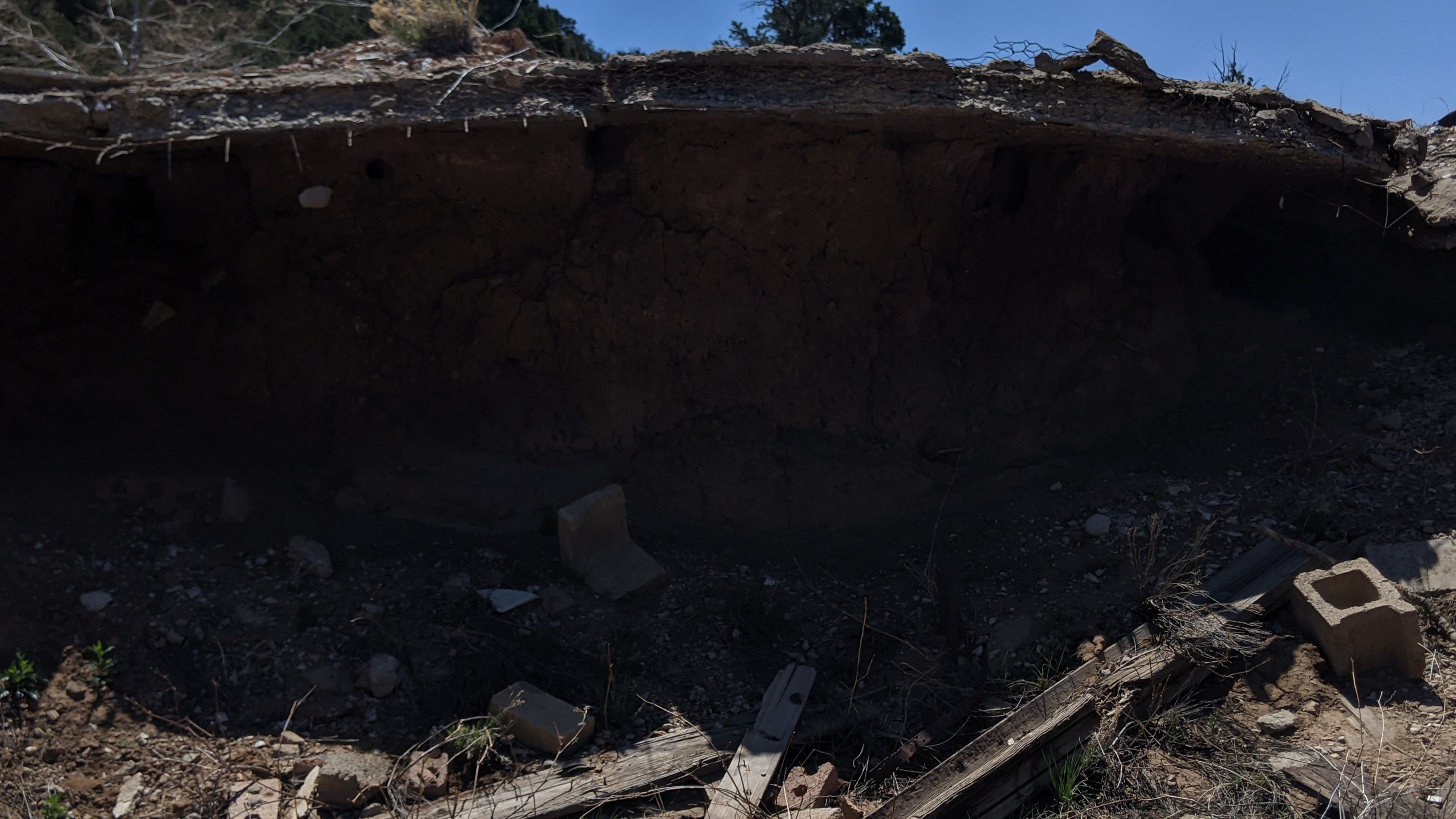 The Burnt-Down House - by Dane Benko