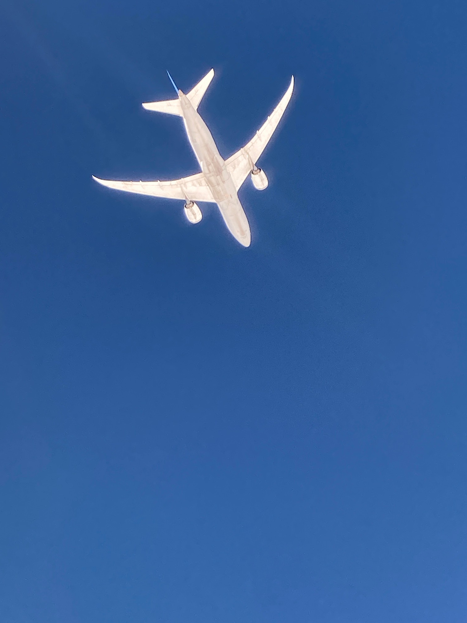 Roll 'Um Easy - @35thousandfeet's Cafe