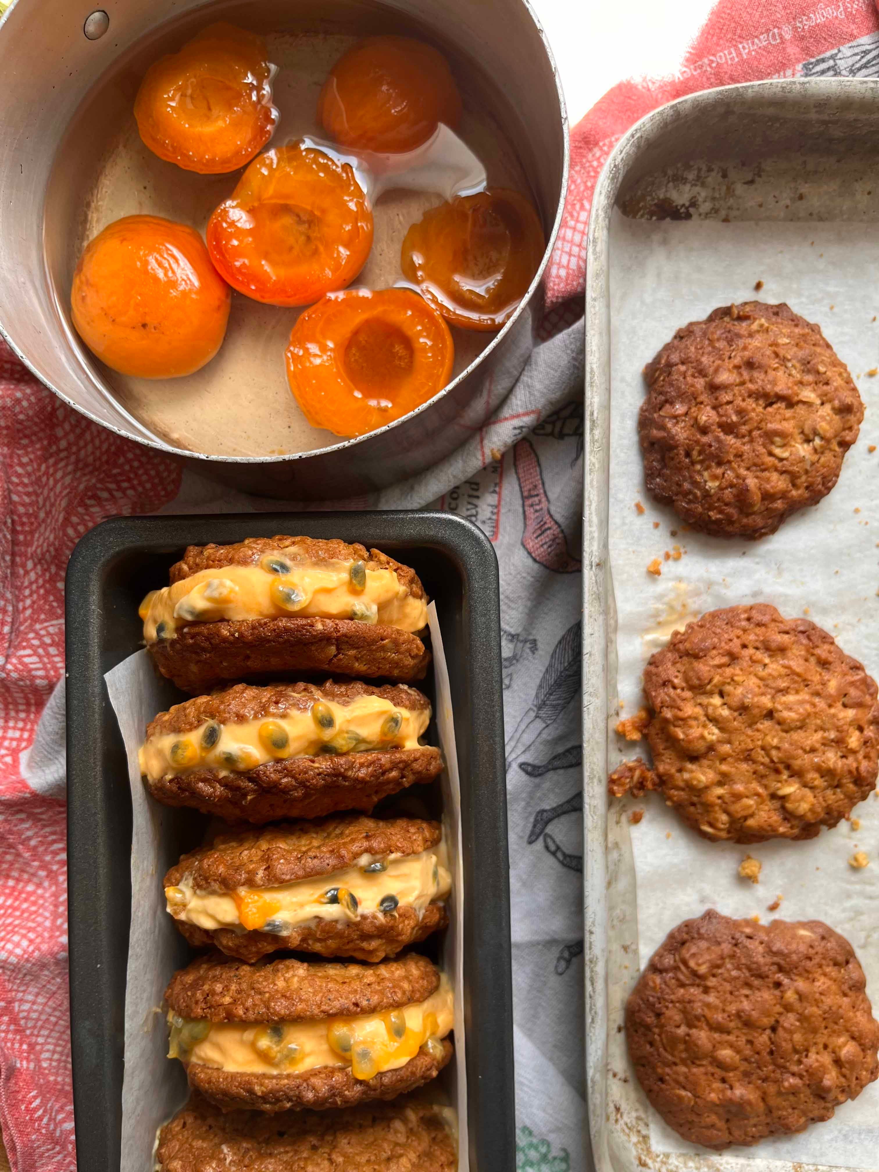 Kitchen Project #74: All about Sorbet - by Nicola Lamb