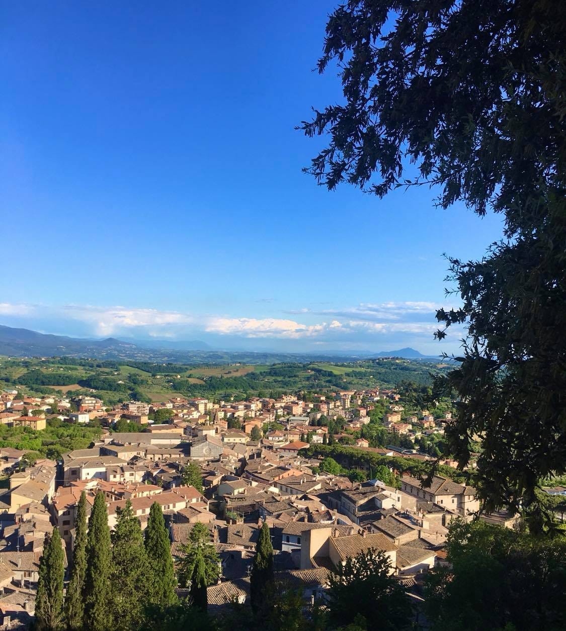 The Long Road Home - by Stacey Eskelin - Cappuccino