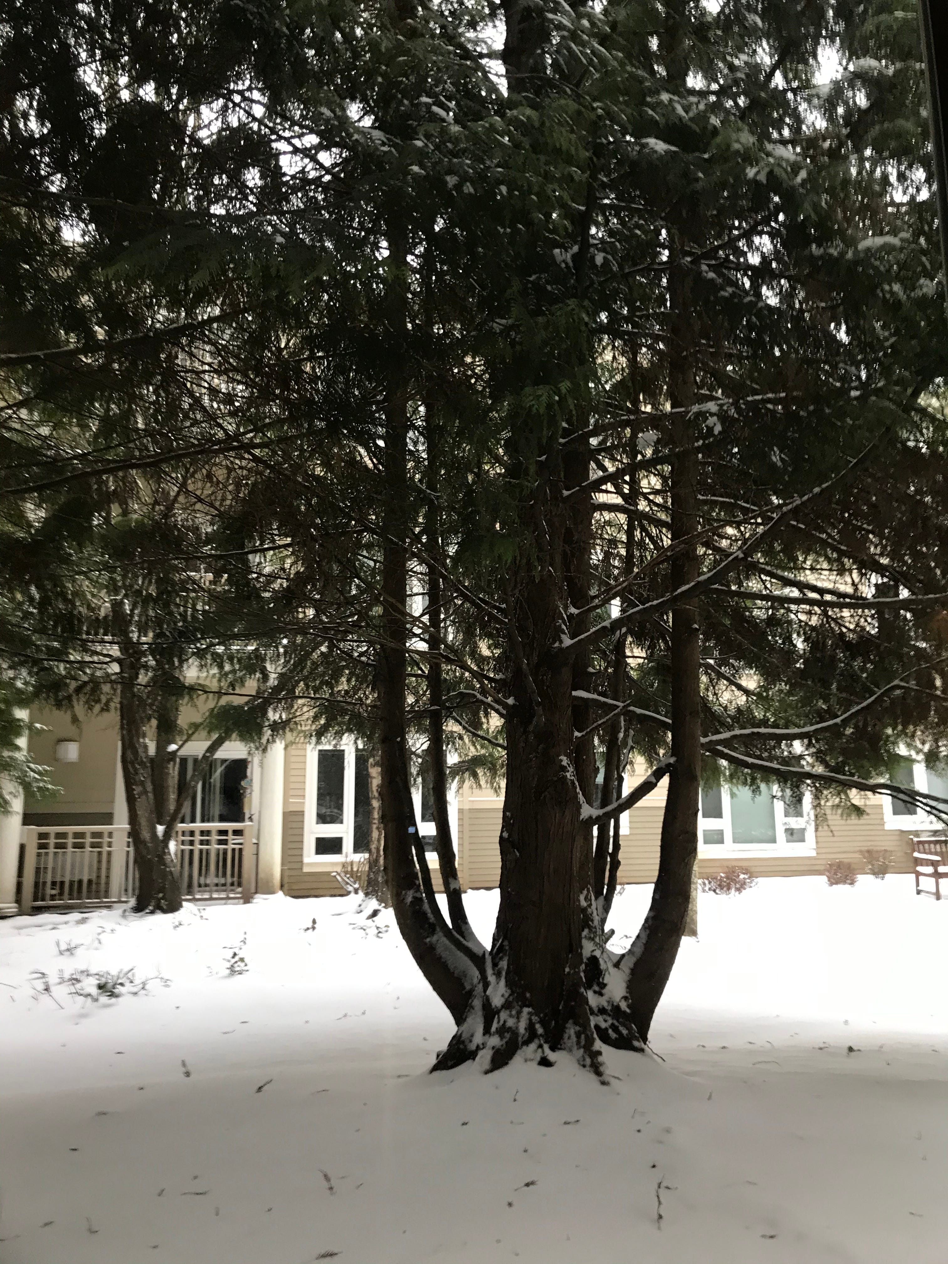 Words, poetry, poem - by Fran Gardner - Becoming