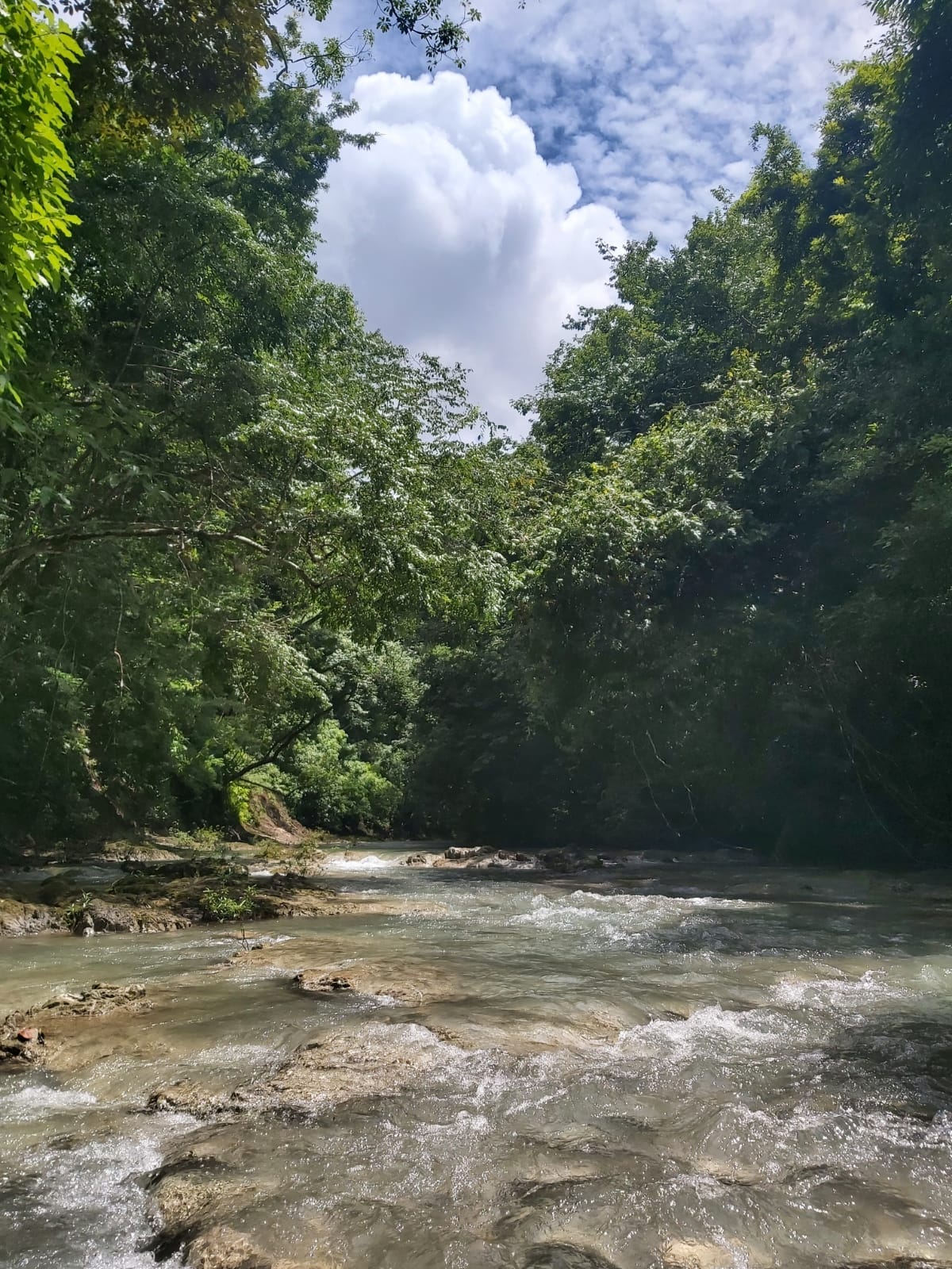 Water Always Finds Its Way - by Jaden Ramsey