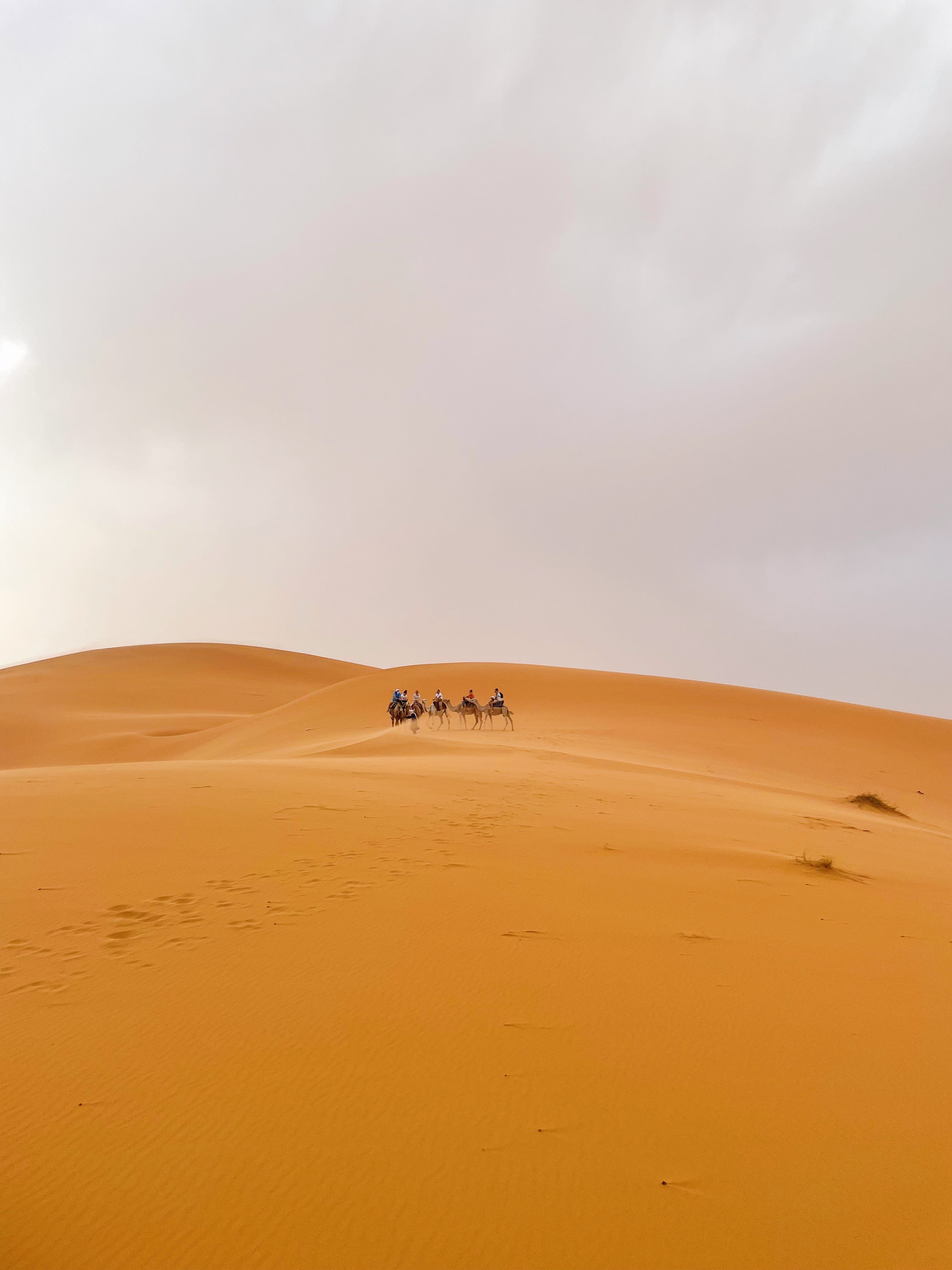 Razi's Newsletter - by Razi Syed - Razi’s Newsletter