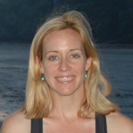 Louise Story | Substack