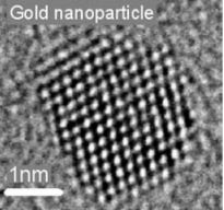 The Atoms are Real Edition - by Guest Contributor