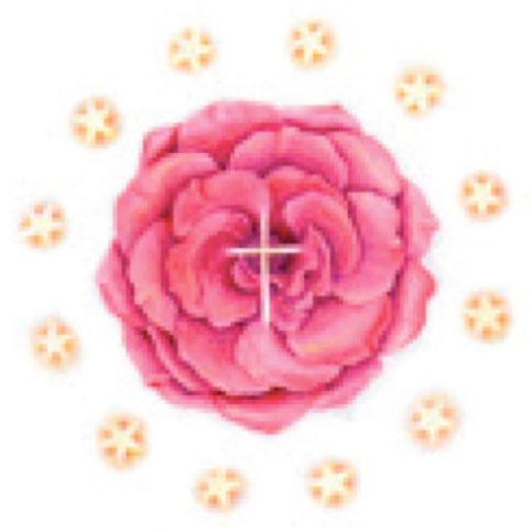 Sophia Foundation | Substack