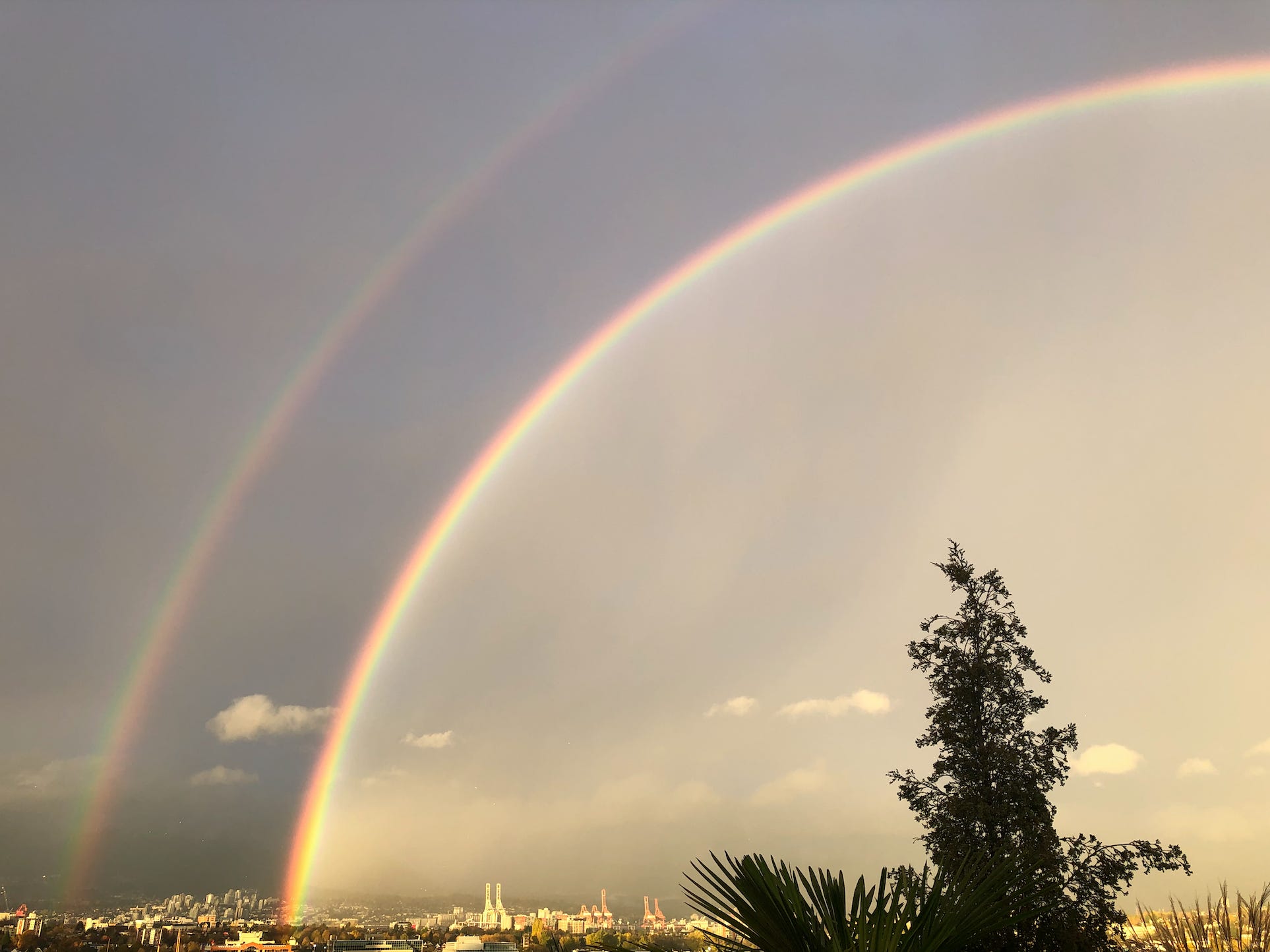 It's All Happening | Angela Hamilton | Substack